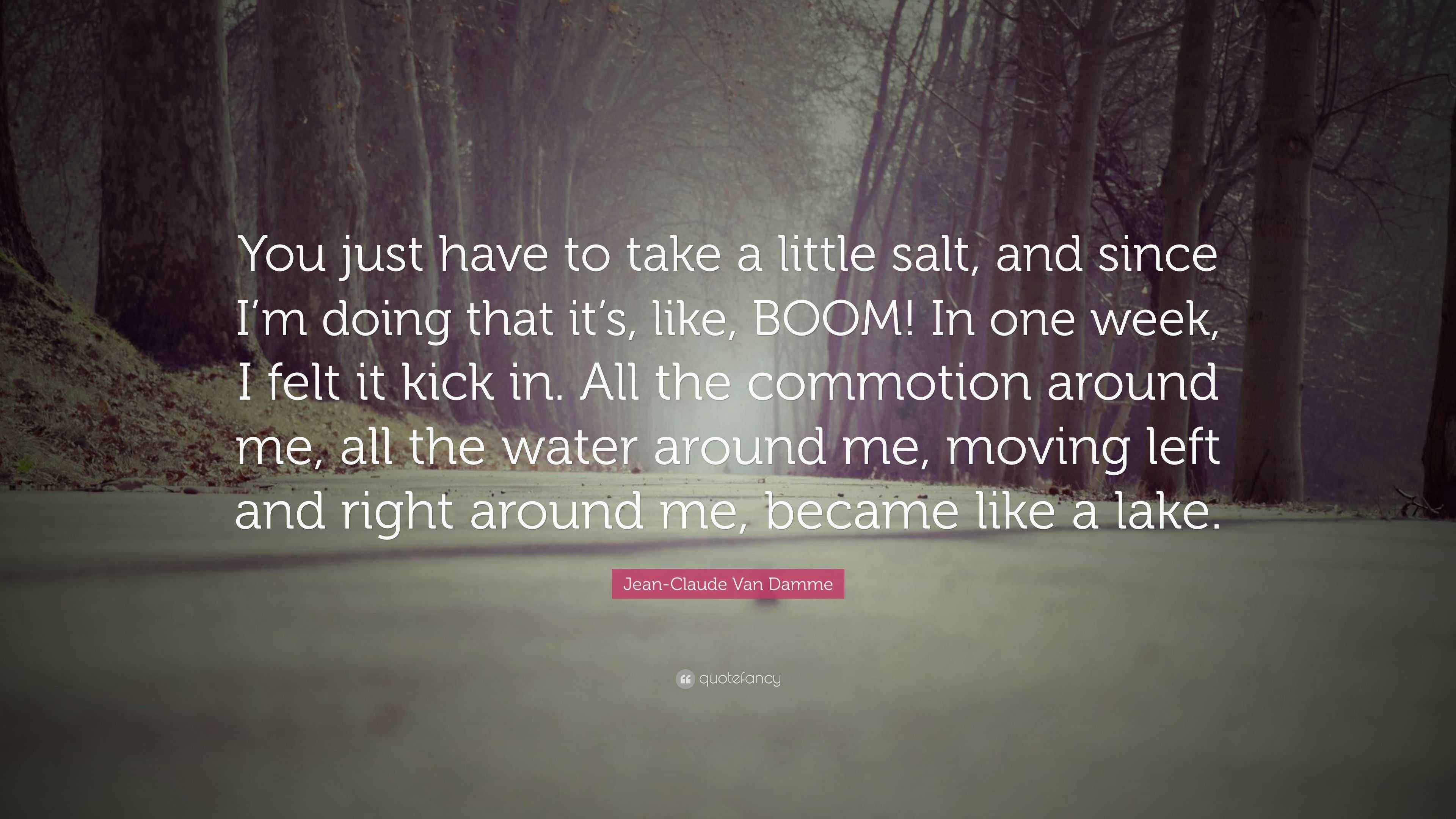 Jean-Claude Van Damme Quote: “You just have to take a little salt, and ...
