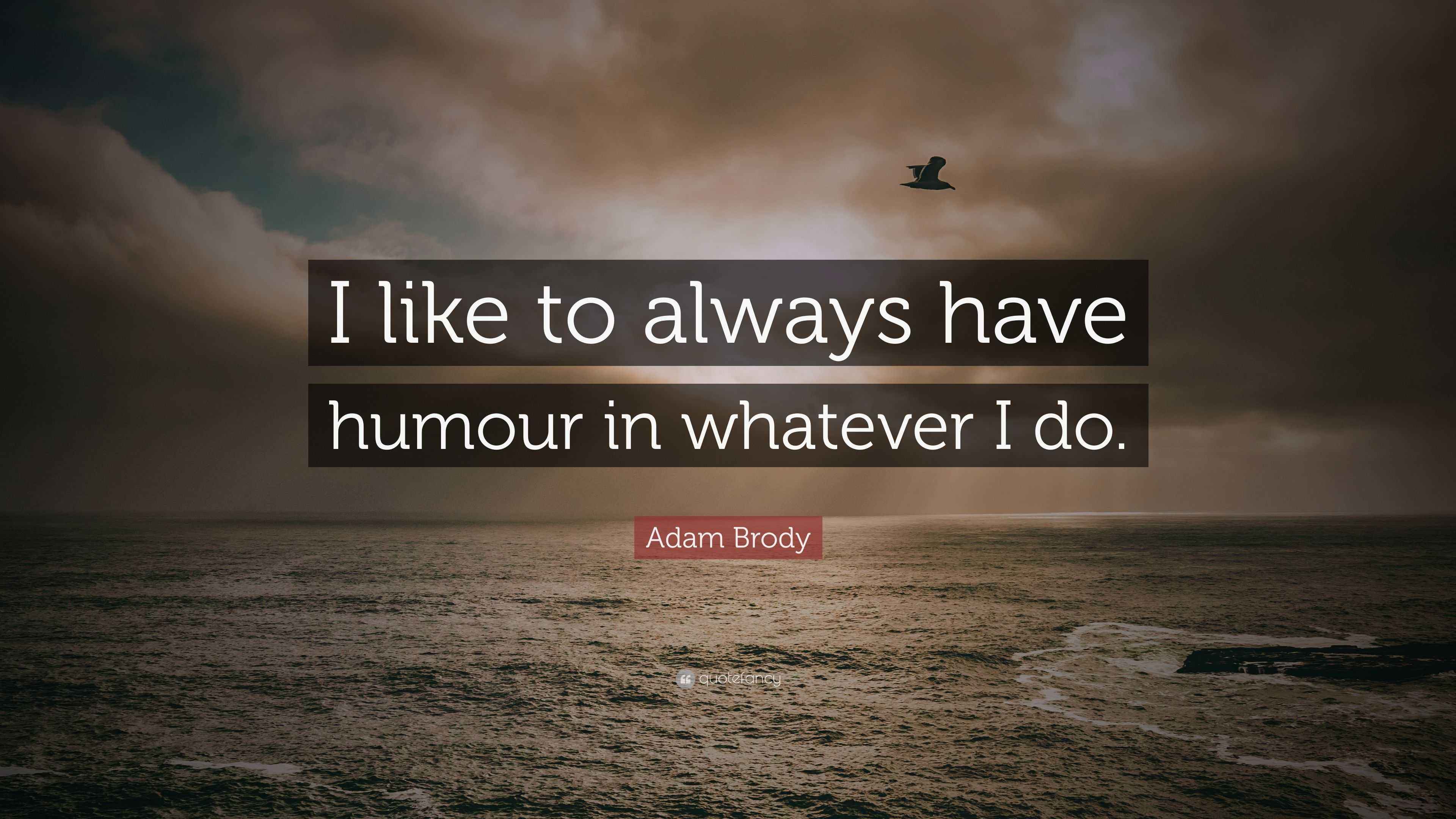 Adam Brody Quote: “I like to always have humour in whatever I do.”