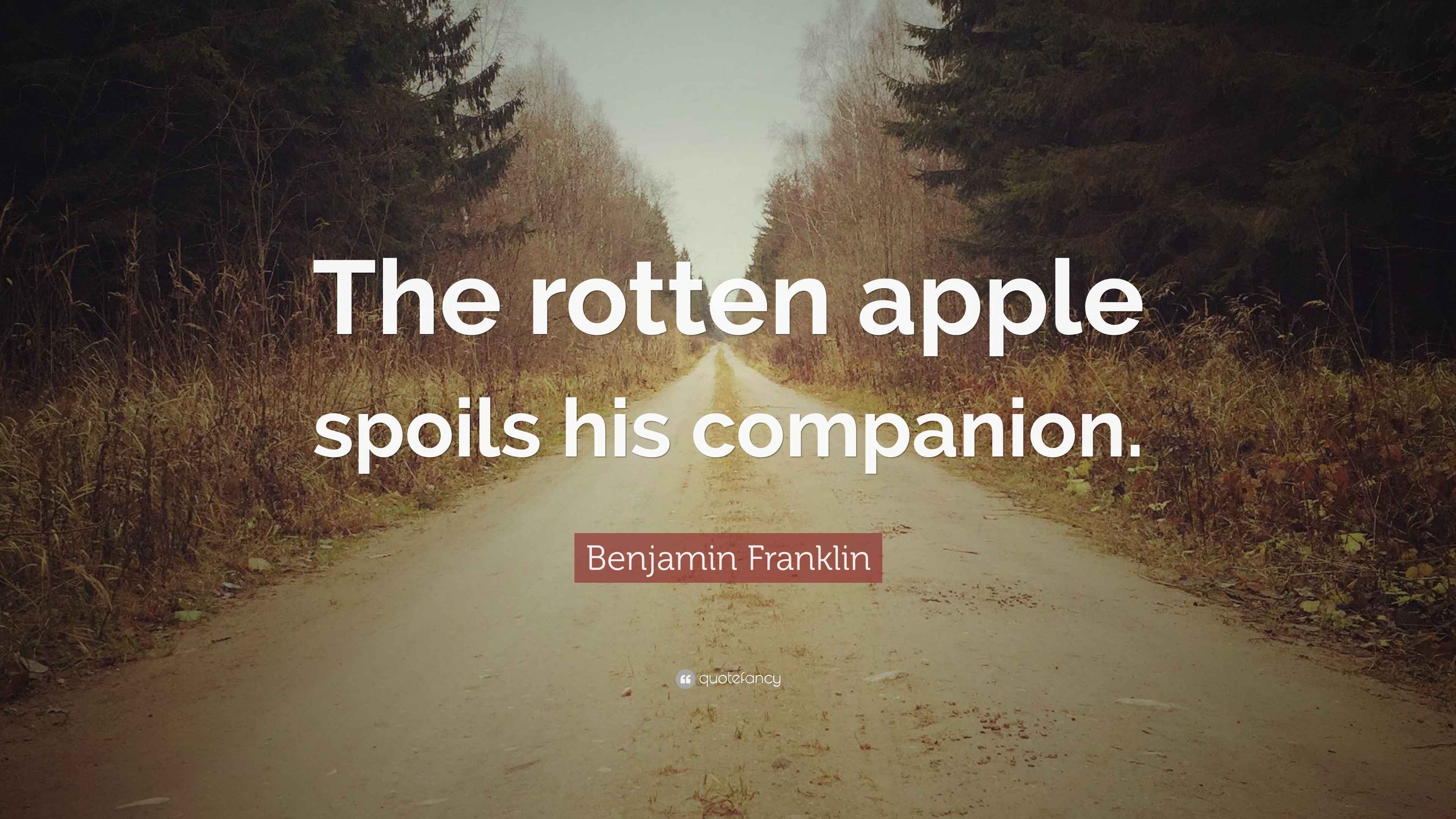 Benjamin Franklin Quote: “The rotten apple spoils his companion.”