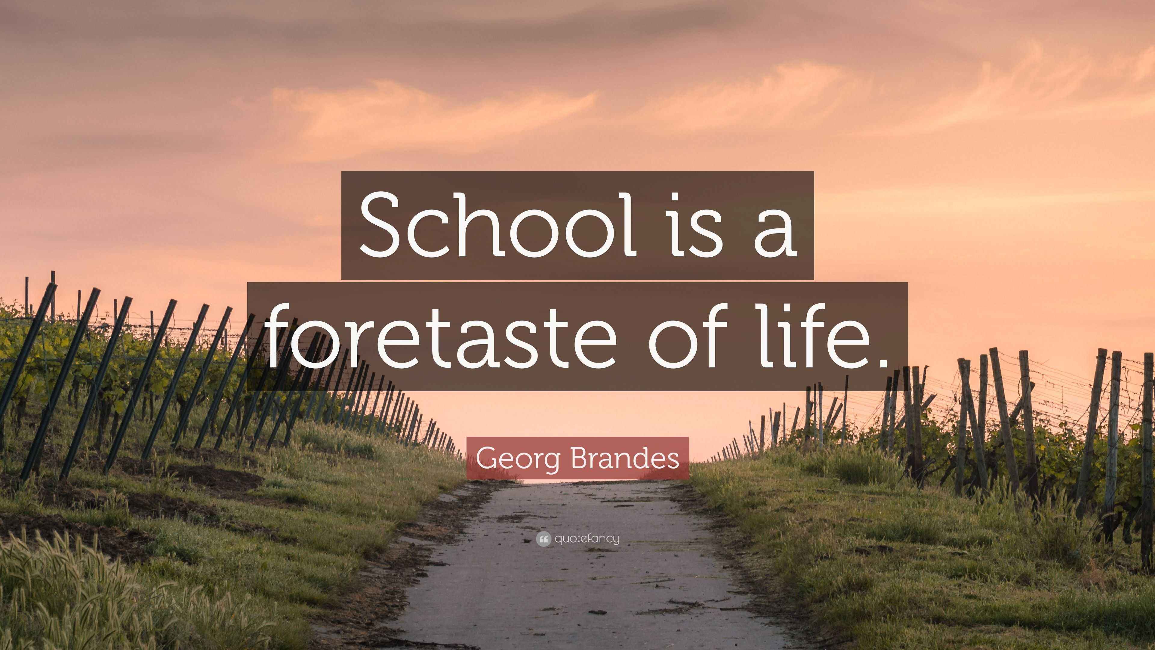 Georg Brandes Quote: “School is a foretaste of life.”