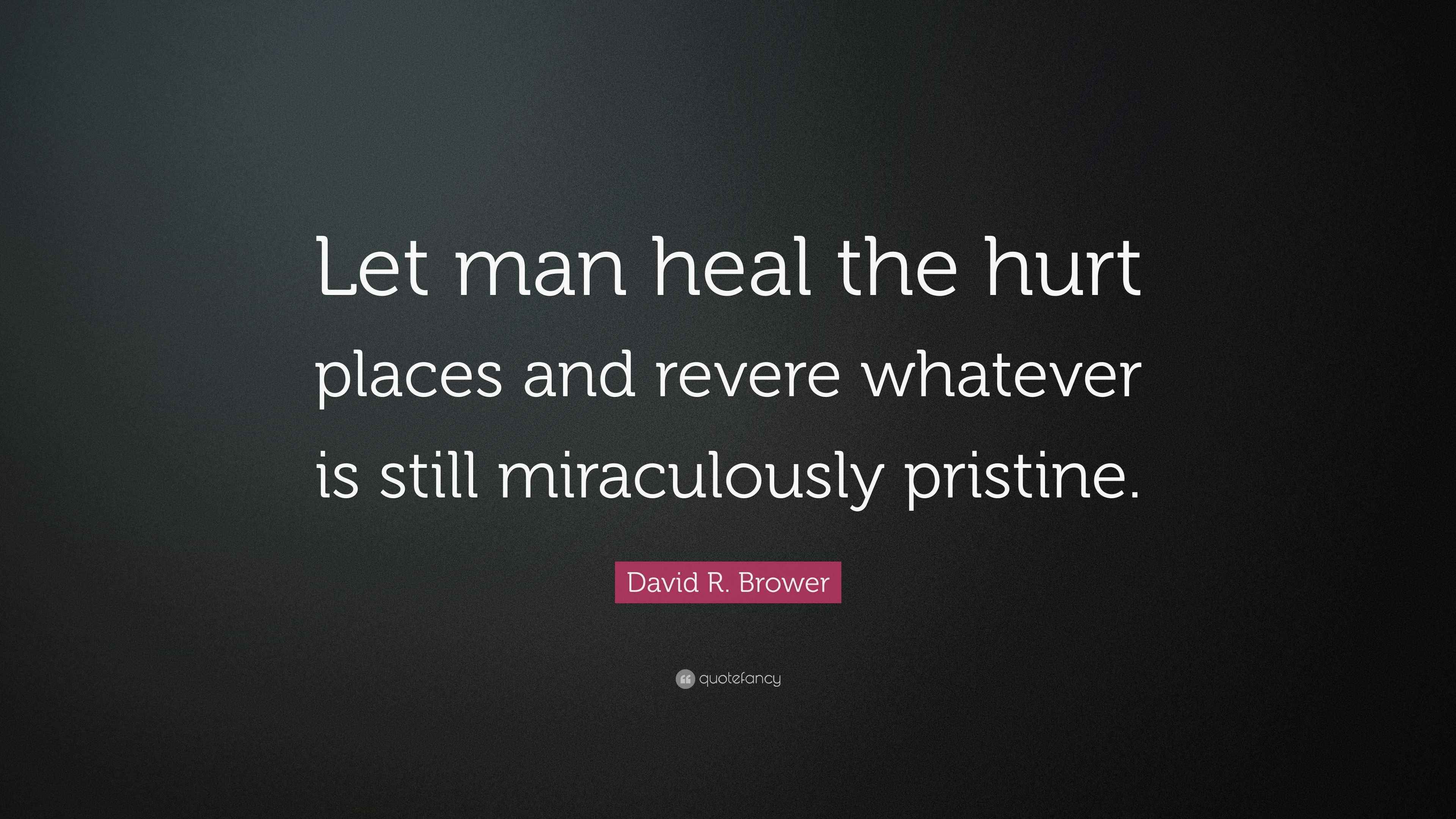 David R. Brower Quote: “Let man heal the hurt places and revere ...