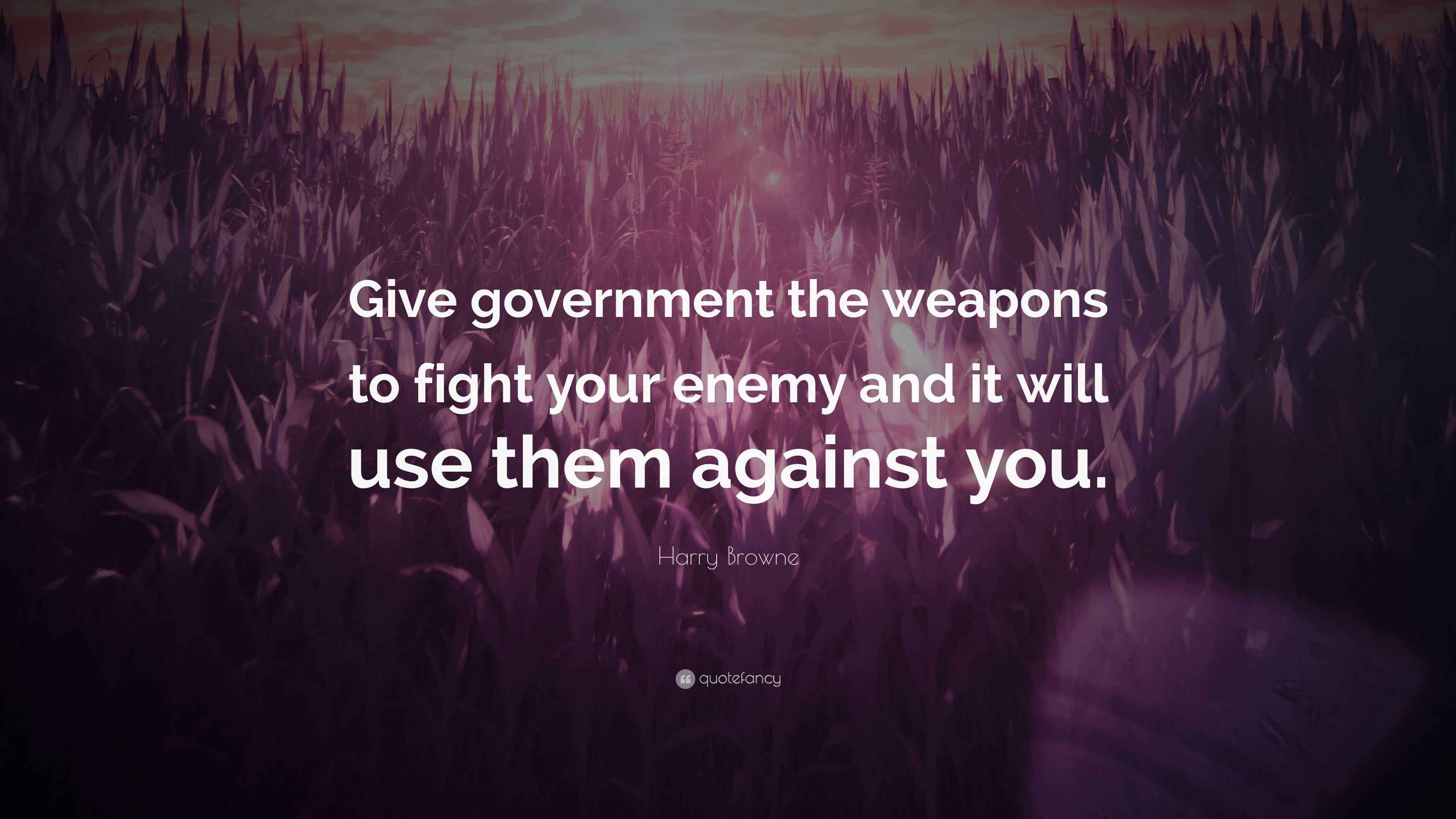 Harry Browne Quote: “Give government the weapons to fight your enemy ...