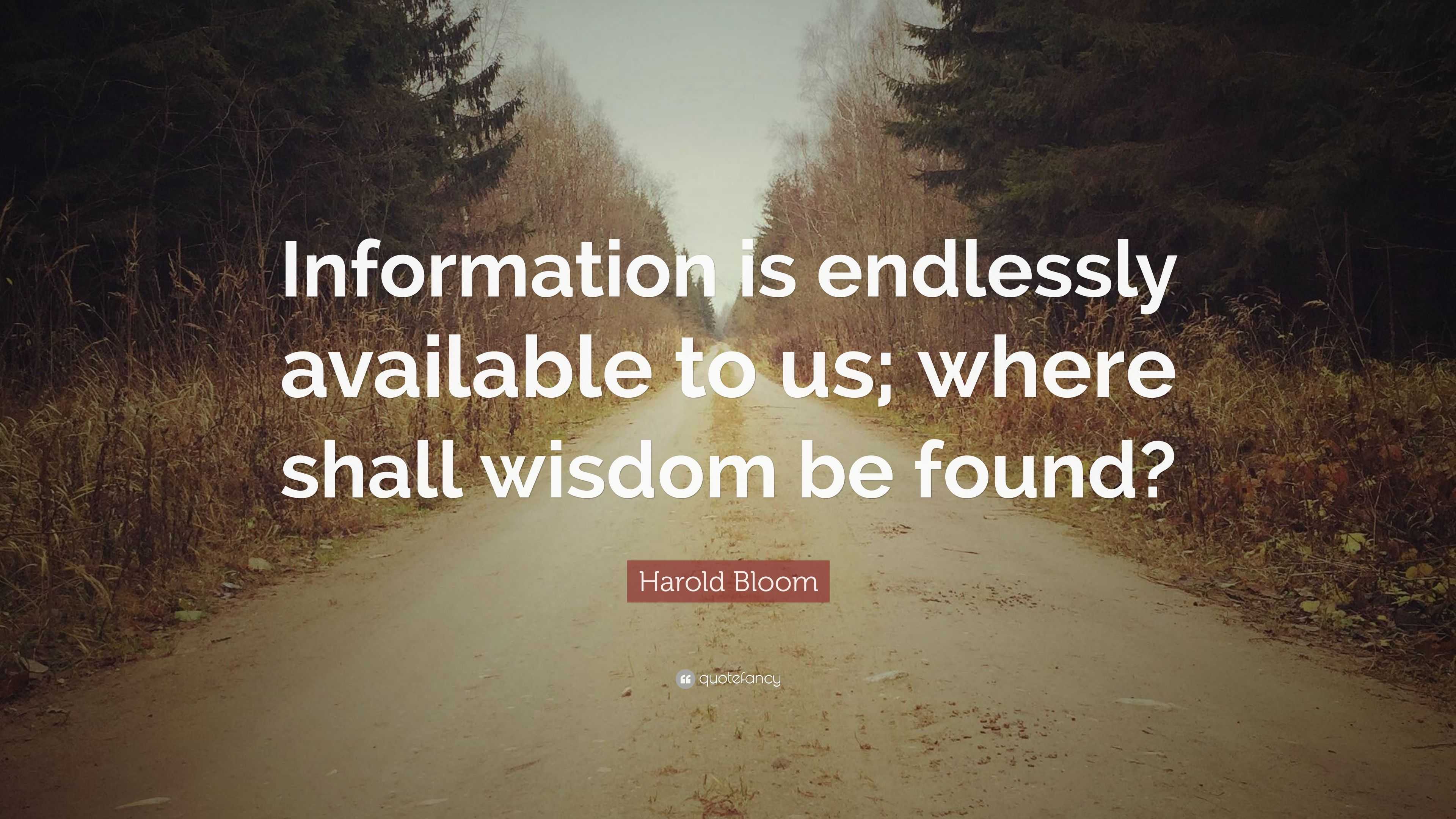 Harold Bloom Quote: “Information is endlessly available to us; where ...