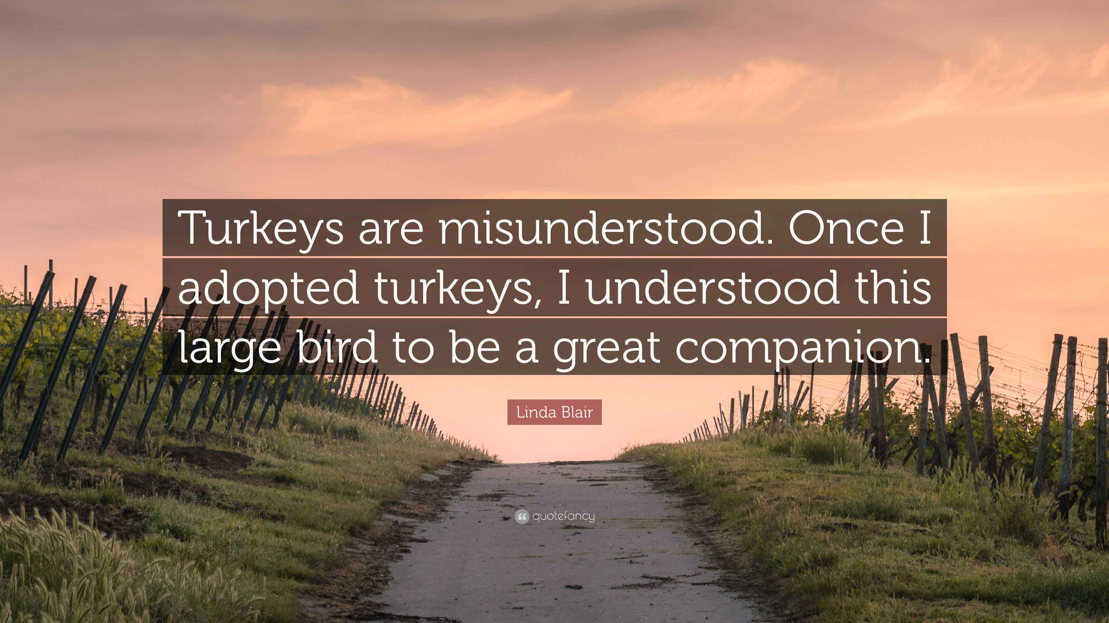Linda Blair Quote: “Turkeys are misunderstood. Once I adopted turkeys ...