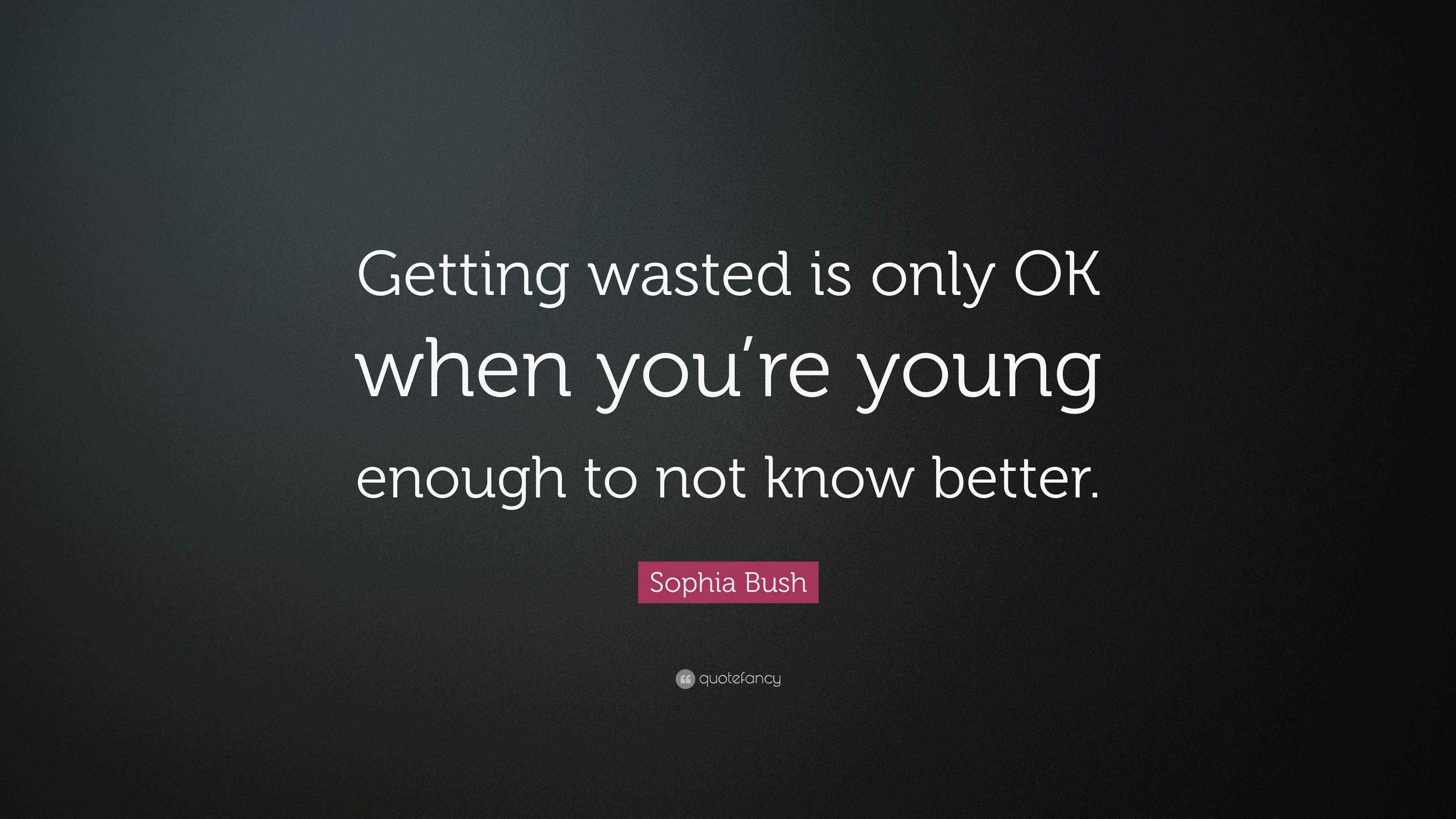 Sophia Bush Quote: “Getting wasted is only OK when you’re young enough ...