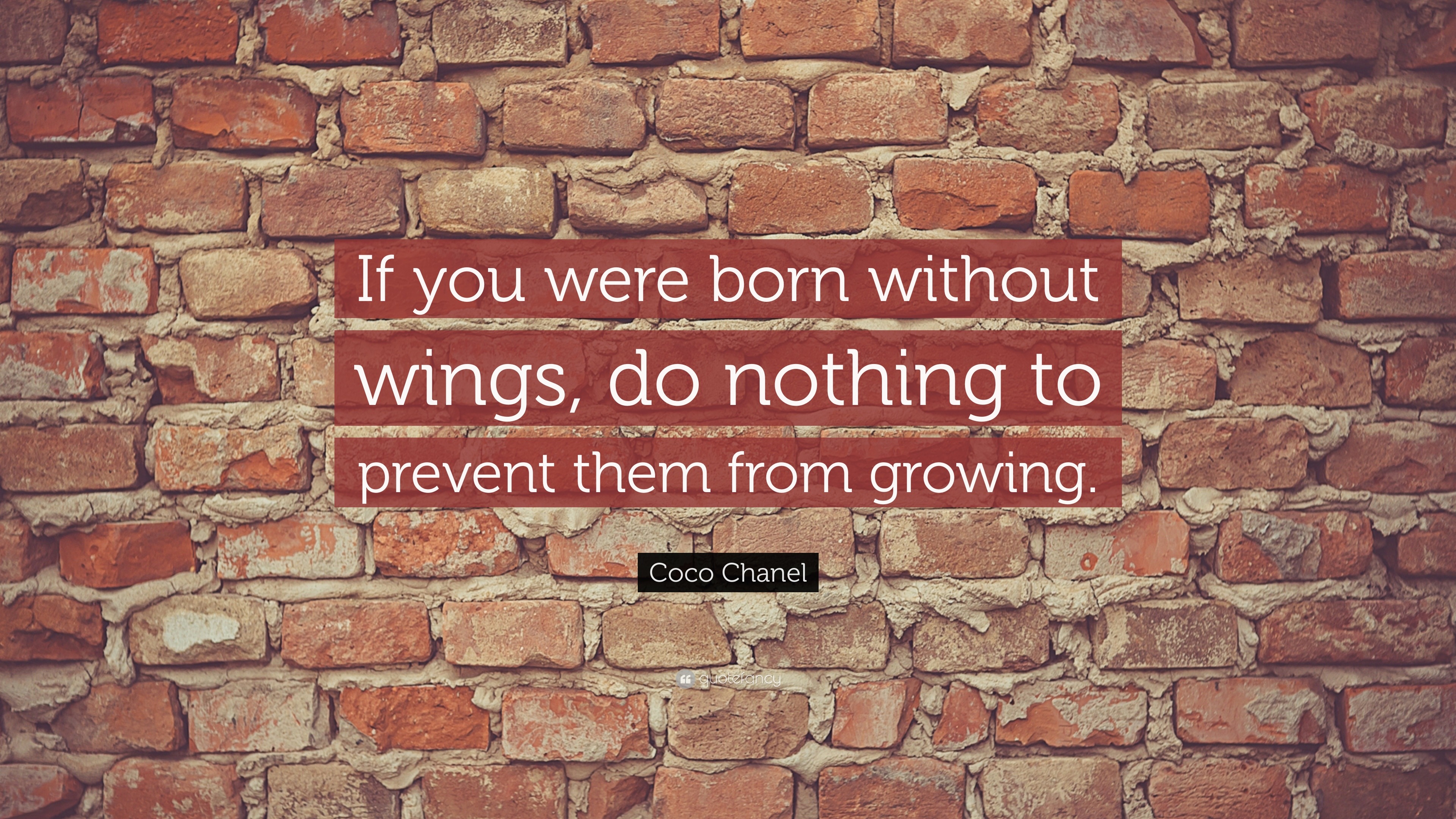 Coco Chanel Quote: “If you were born without wings, do nothing to ...