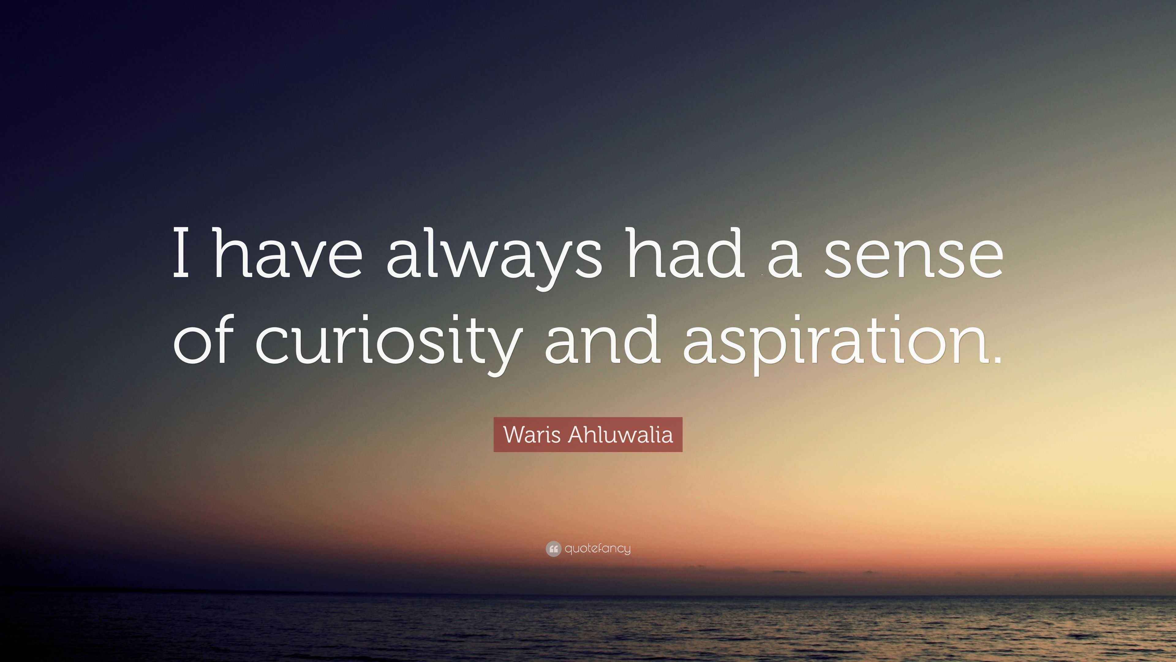 Waris Ahluwalia Quote: “I have always had a sense of curiosity and ...
