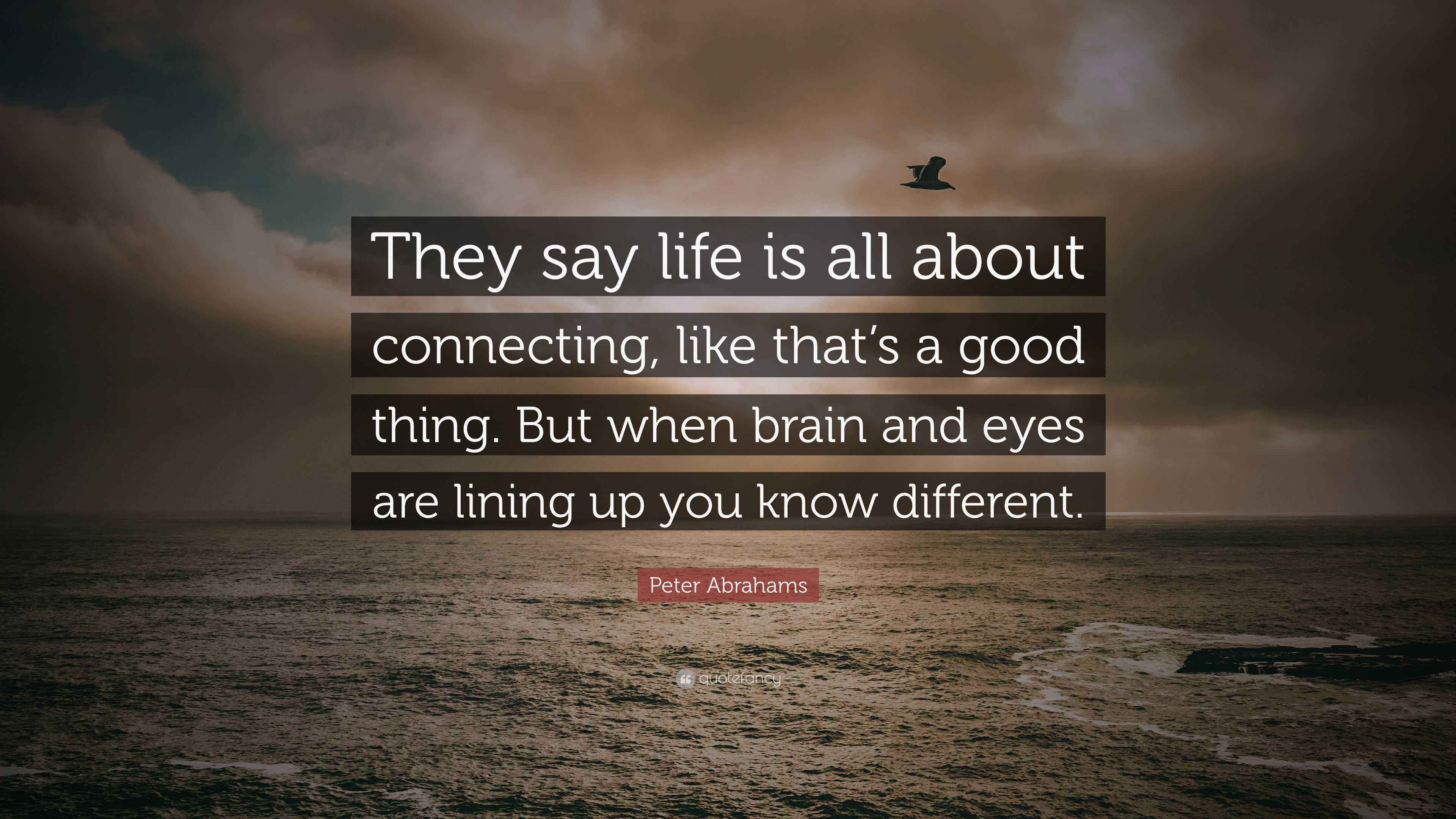 Peter Abrahams Quote: “They say life is all about connecting, like that ...