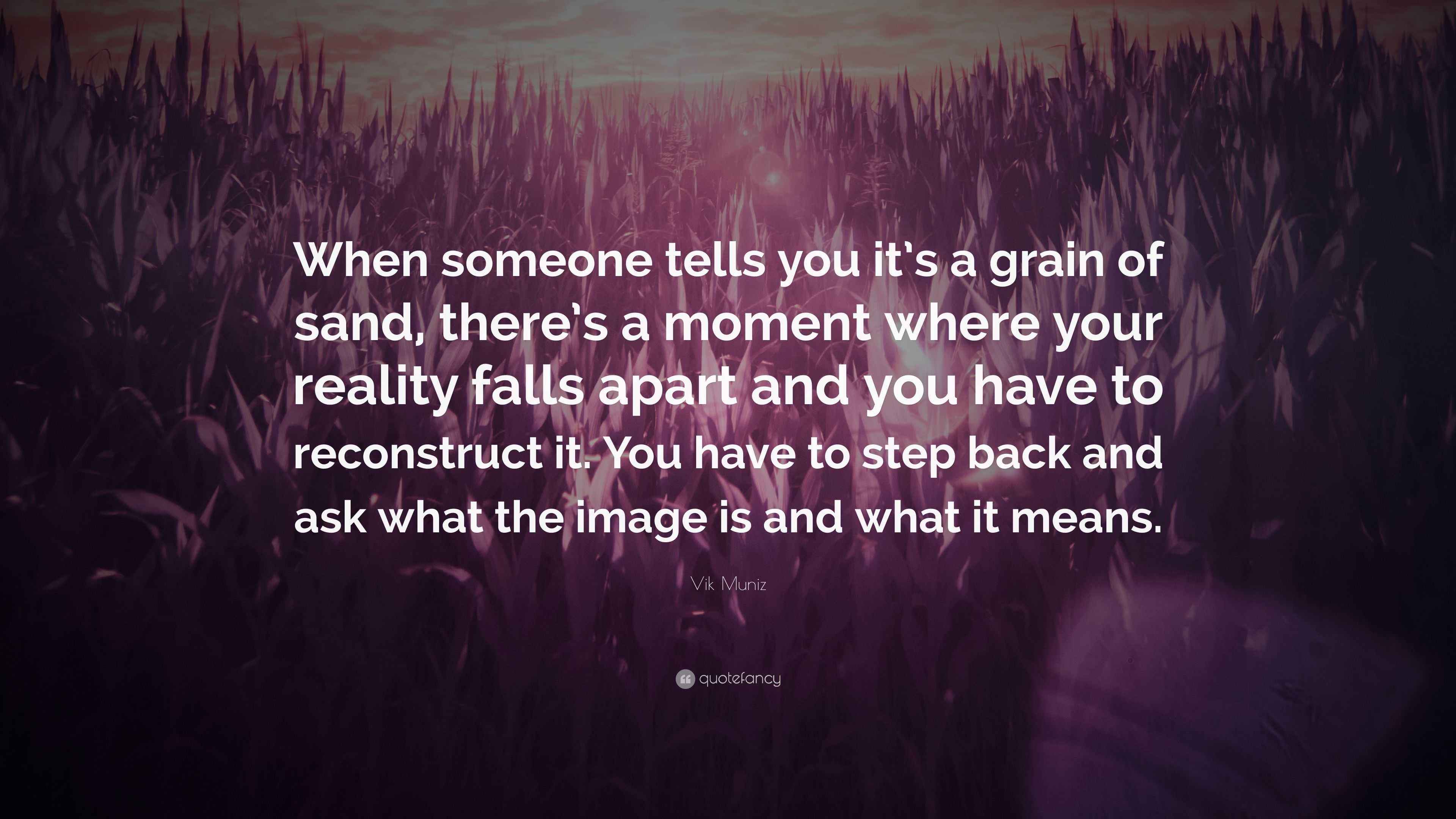 Vik Muniz Quote: “When someone tells you it’s a grain of sand, there’s ...