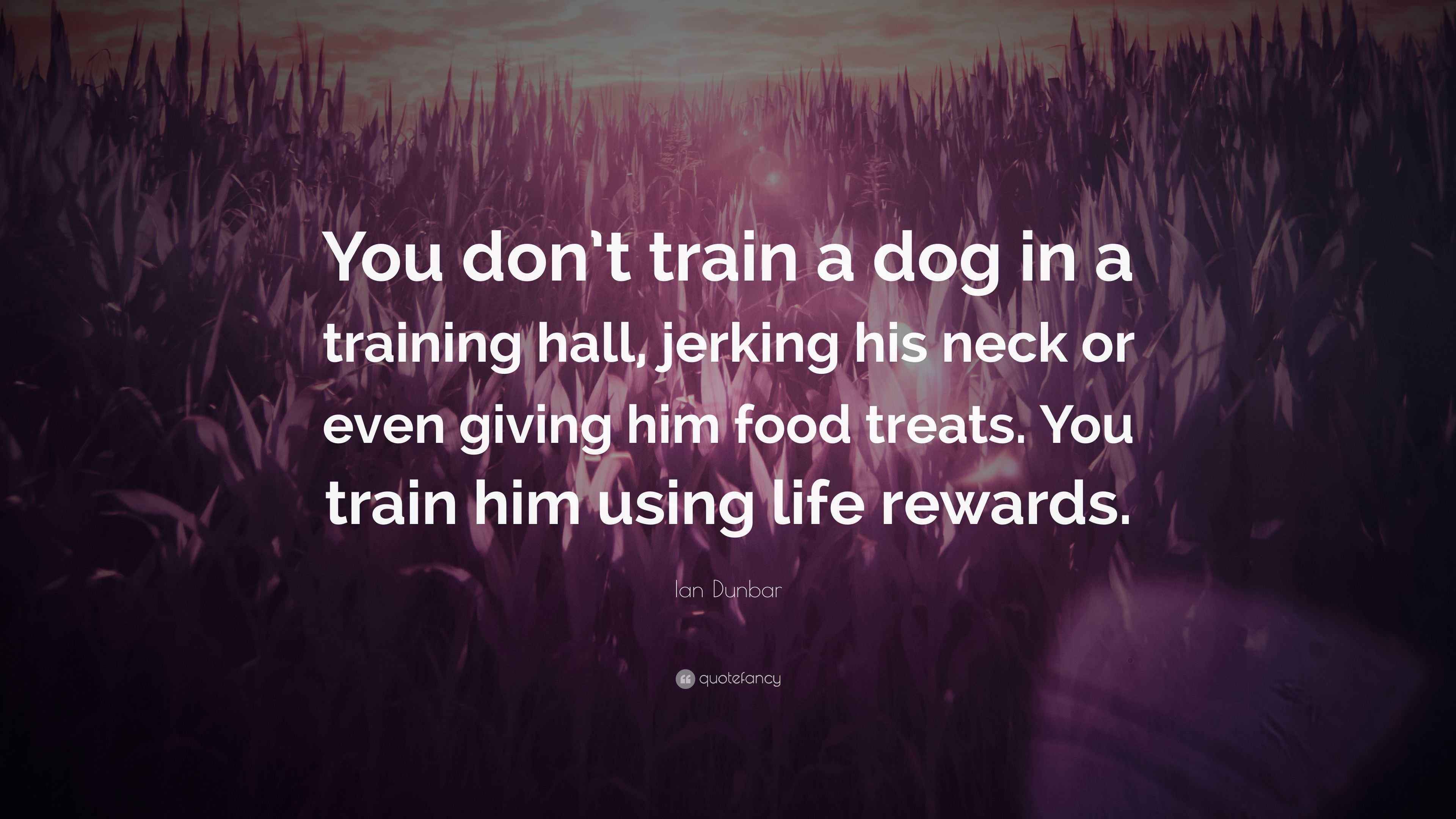 Ian Dunbar Quote: “You don’t train a dog in a training hall, jerking ...