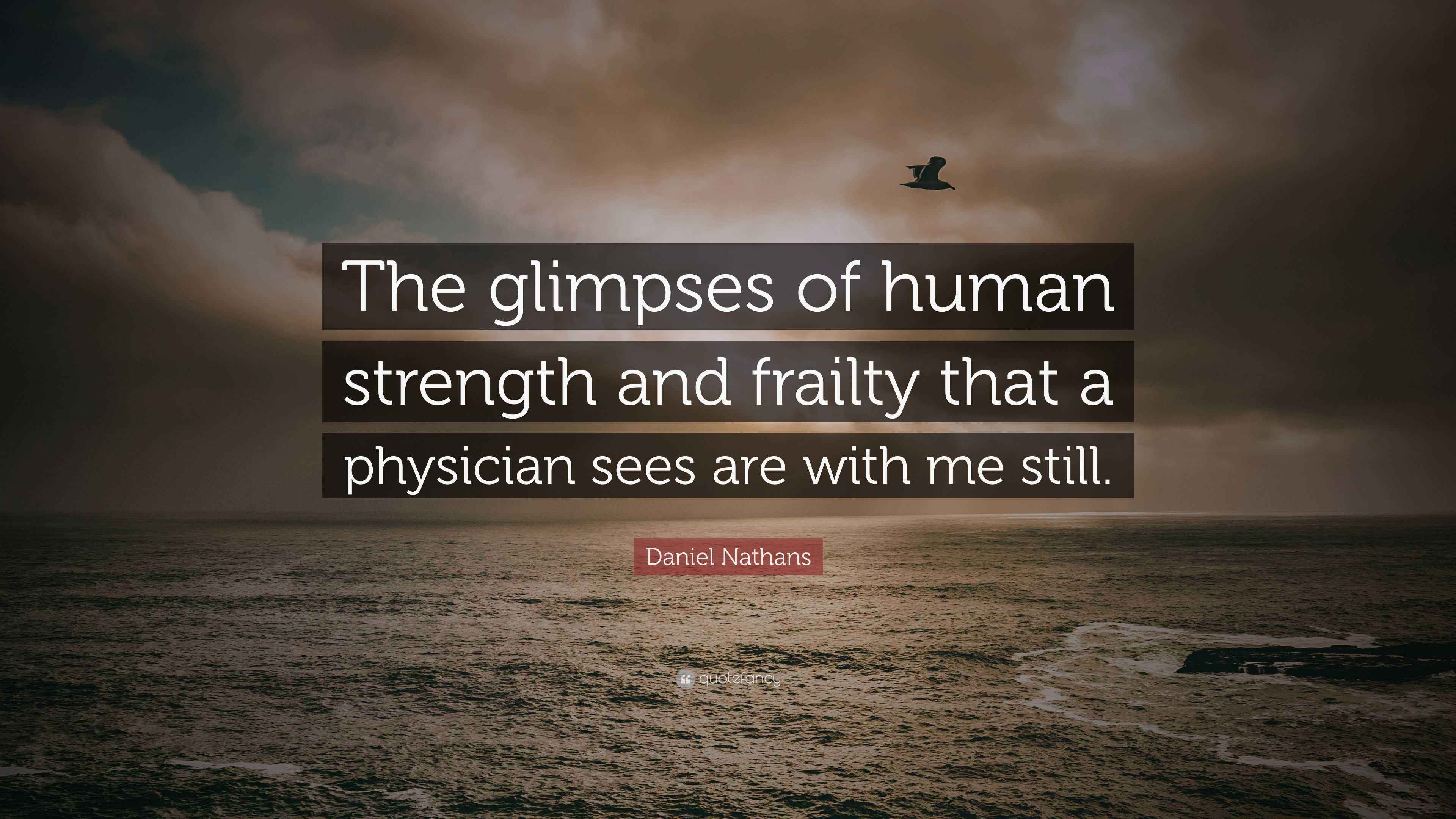 Daniel Nathans Quote: “The glimpses of human strength and frailty that ...