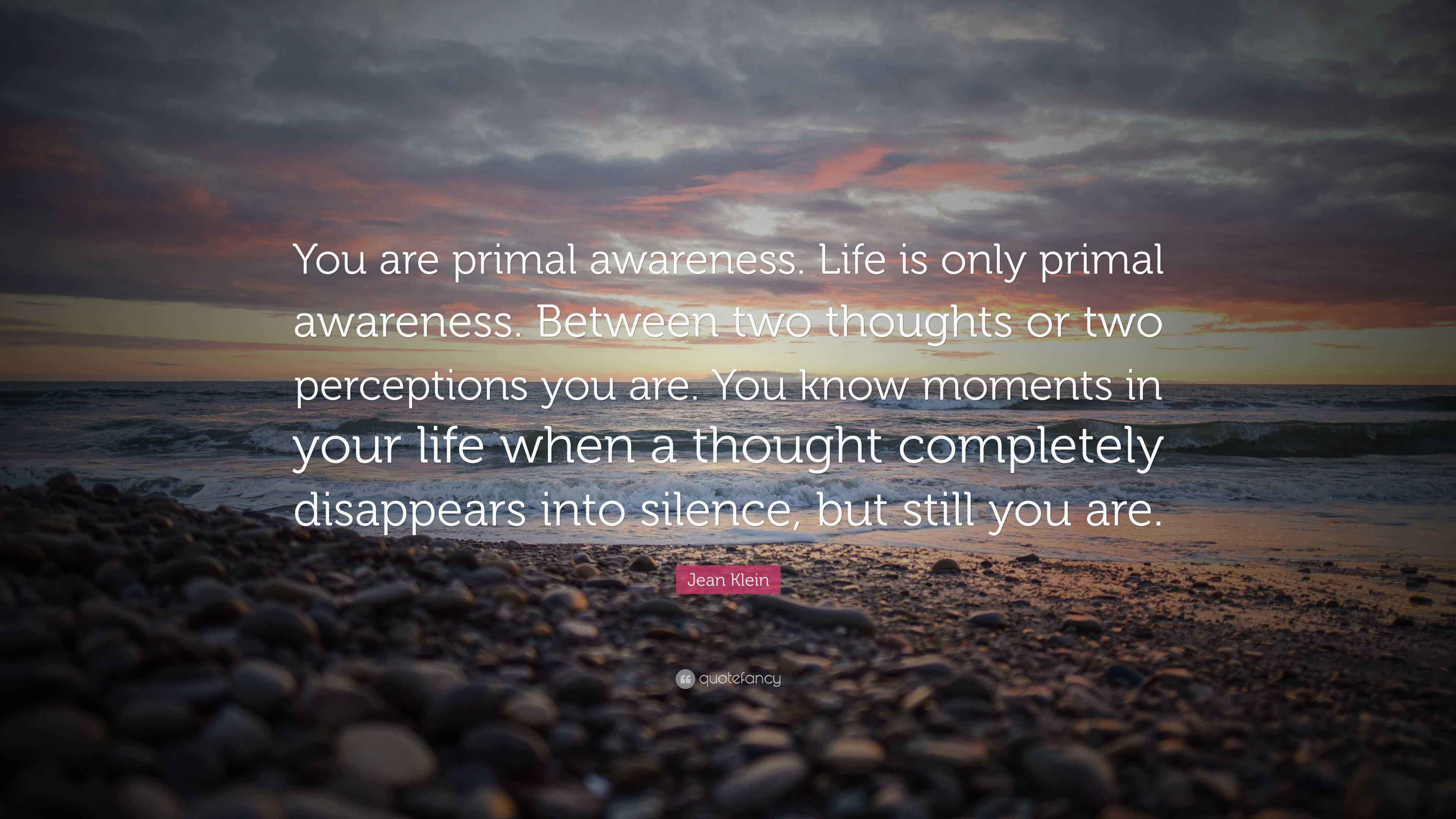 Jean Klein Quote: “You are primal awareness. Life is only primal ...