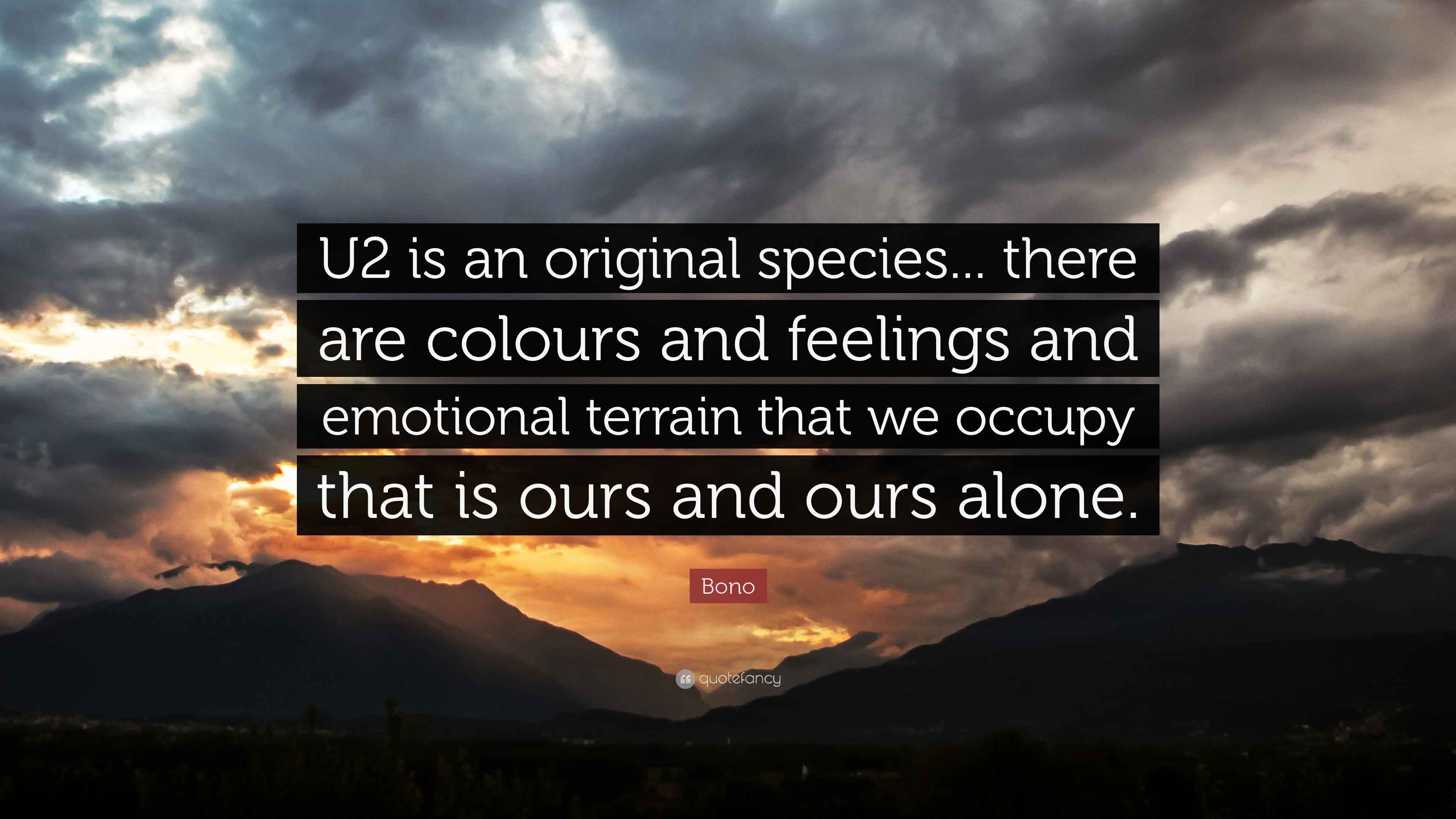 Bono Quote: “U2 is an original species... there are colours and ...