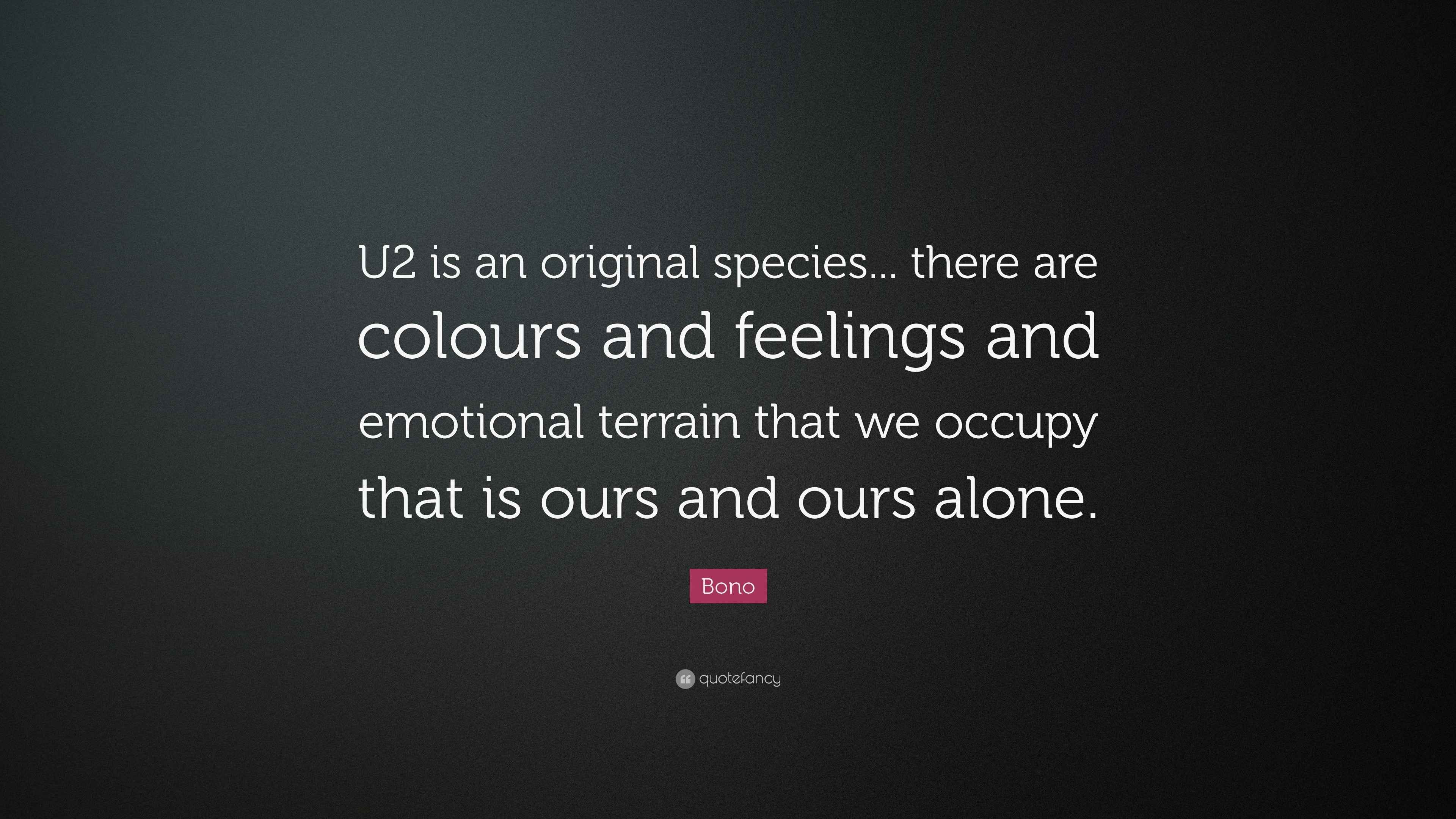 Bono Quote: “U2 is an original species... there are colours and ...