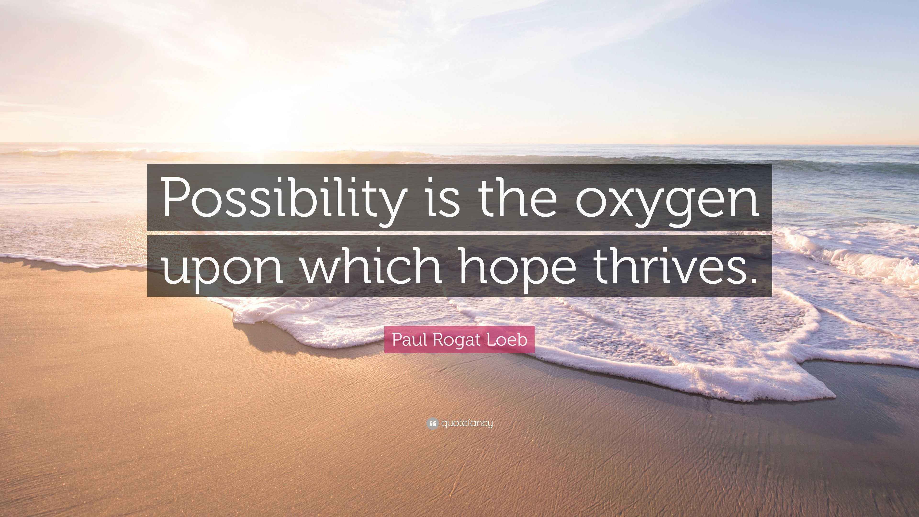 Paul Rogat Loeb Quote: “Possibility is the oxygen upon which hope thrives.”