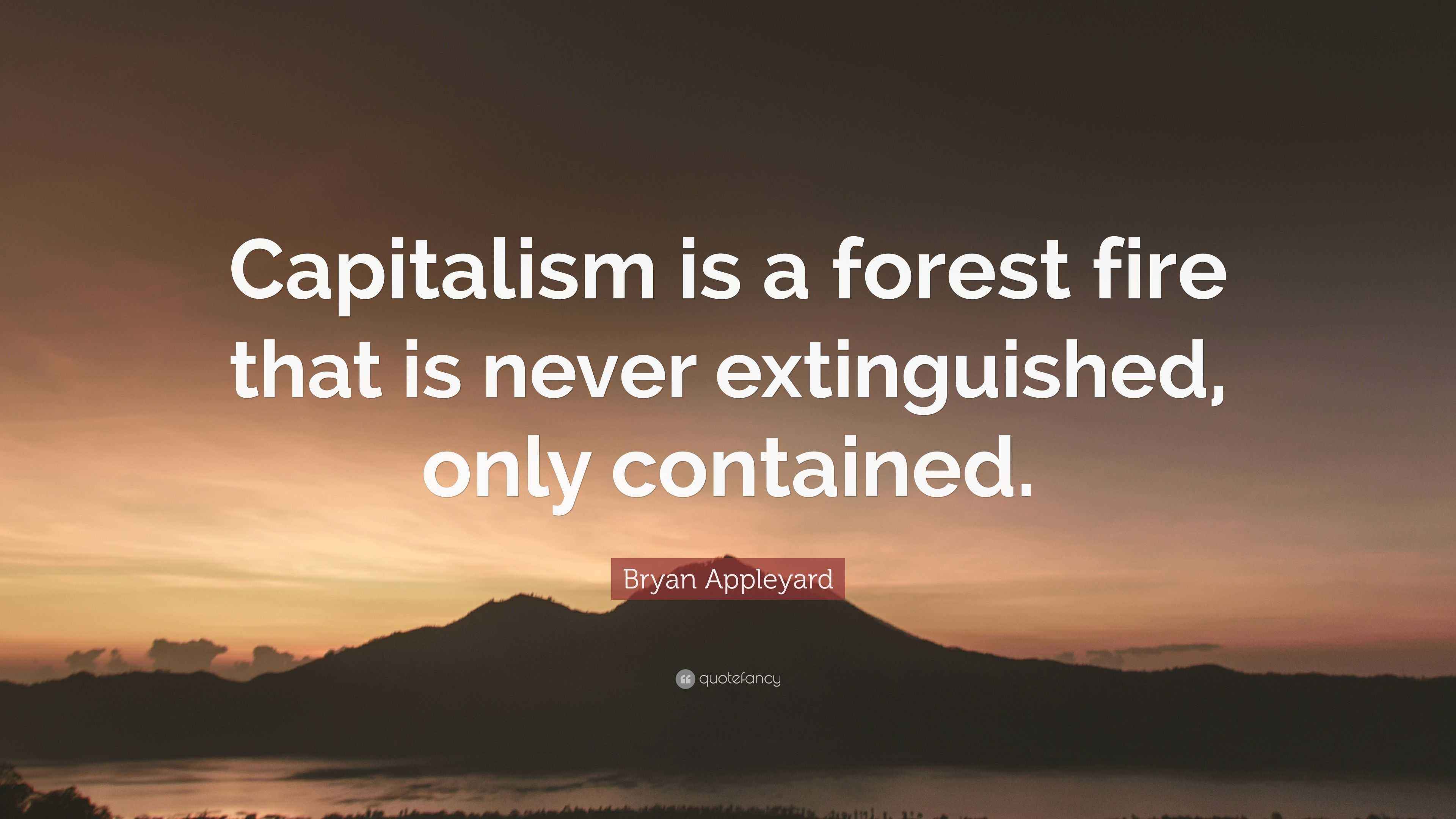 Bryan Appleyard Quote: “Capitalism is a forest fire that is never ...