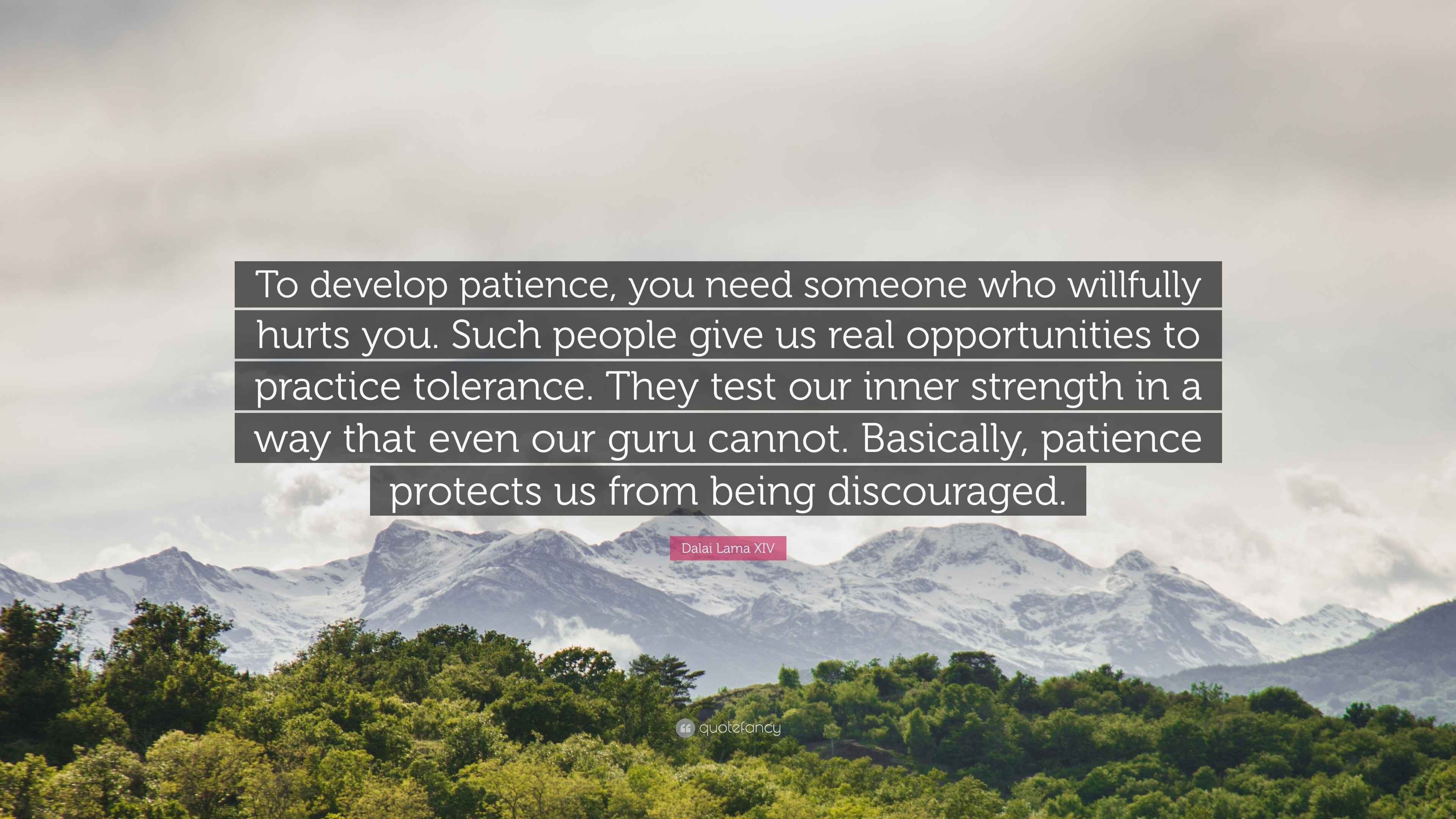 Dalai Lama XIV Quote: “To develop patience, you need someone who ...