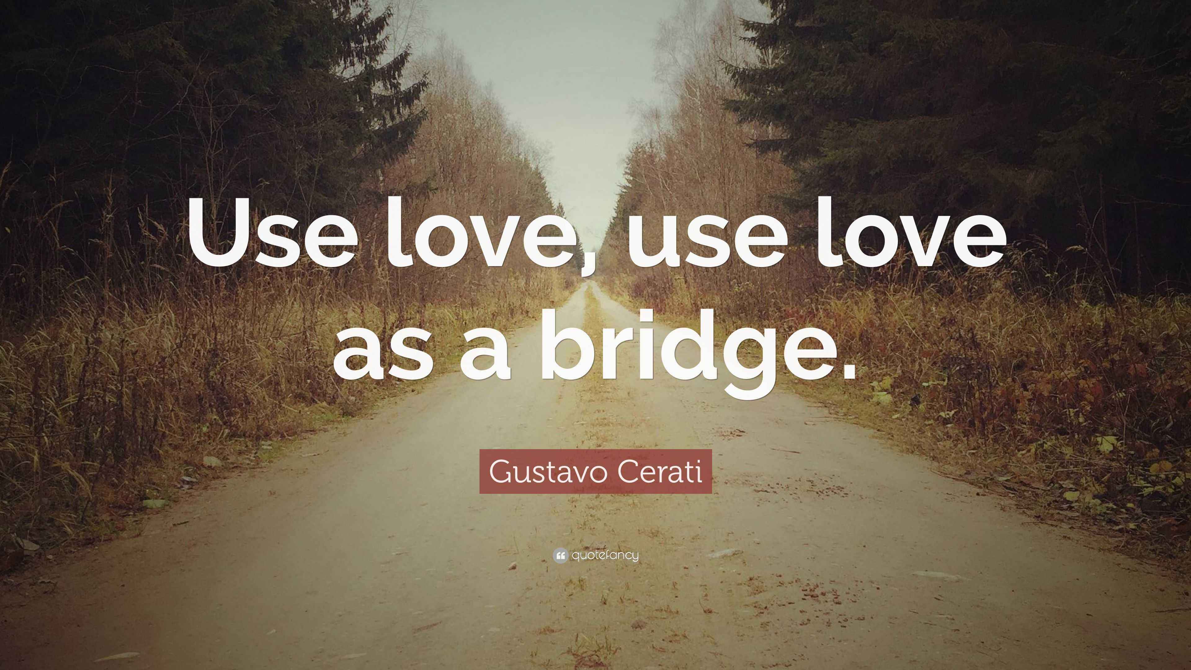 Gustavo Cerati Quote: “Use love, use love as a bridge.”