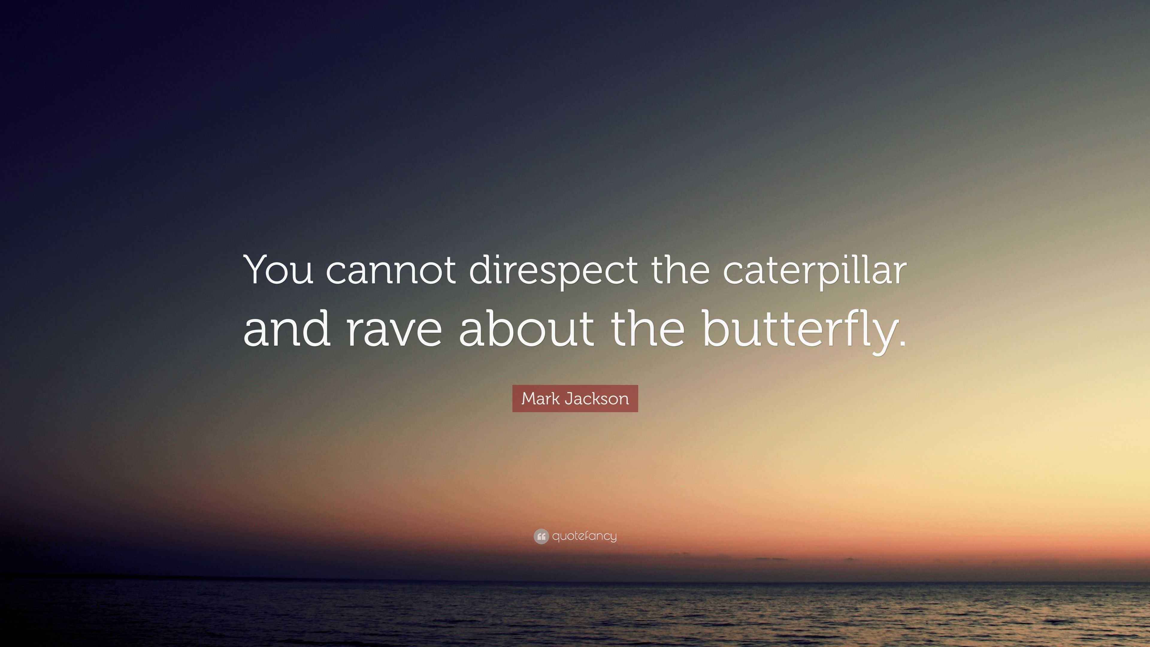 Mark Jackson Quote: “You cannot direspect the caterpillar and rave ...
