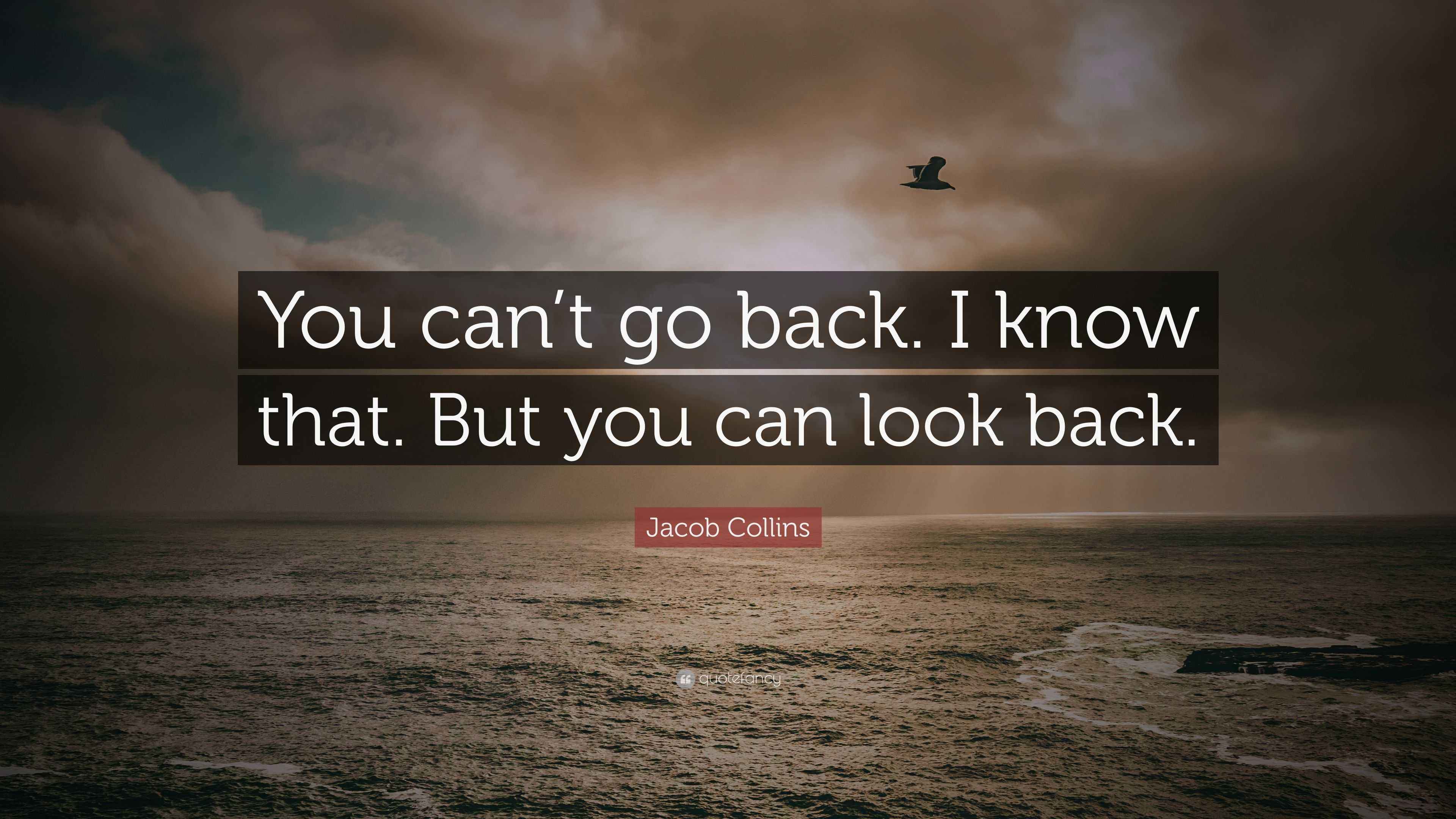 Jacob Collins Quote: “You can’t go back. I know that. But you can look ...
