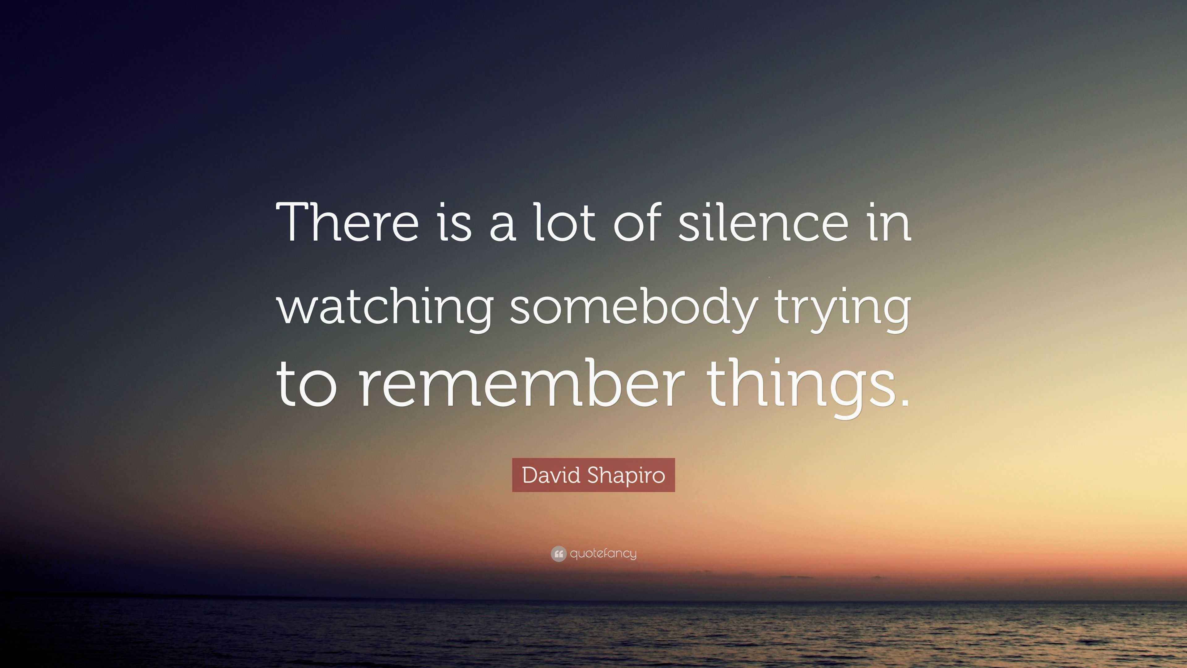 David Shapiro Quote: “There is a lot of silence in watching somebody ...