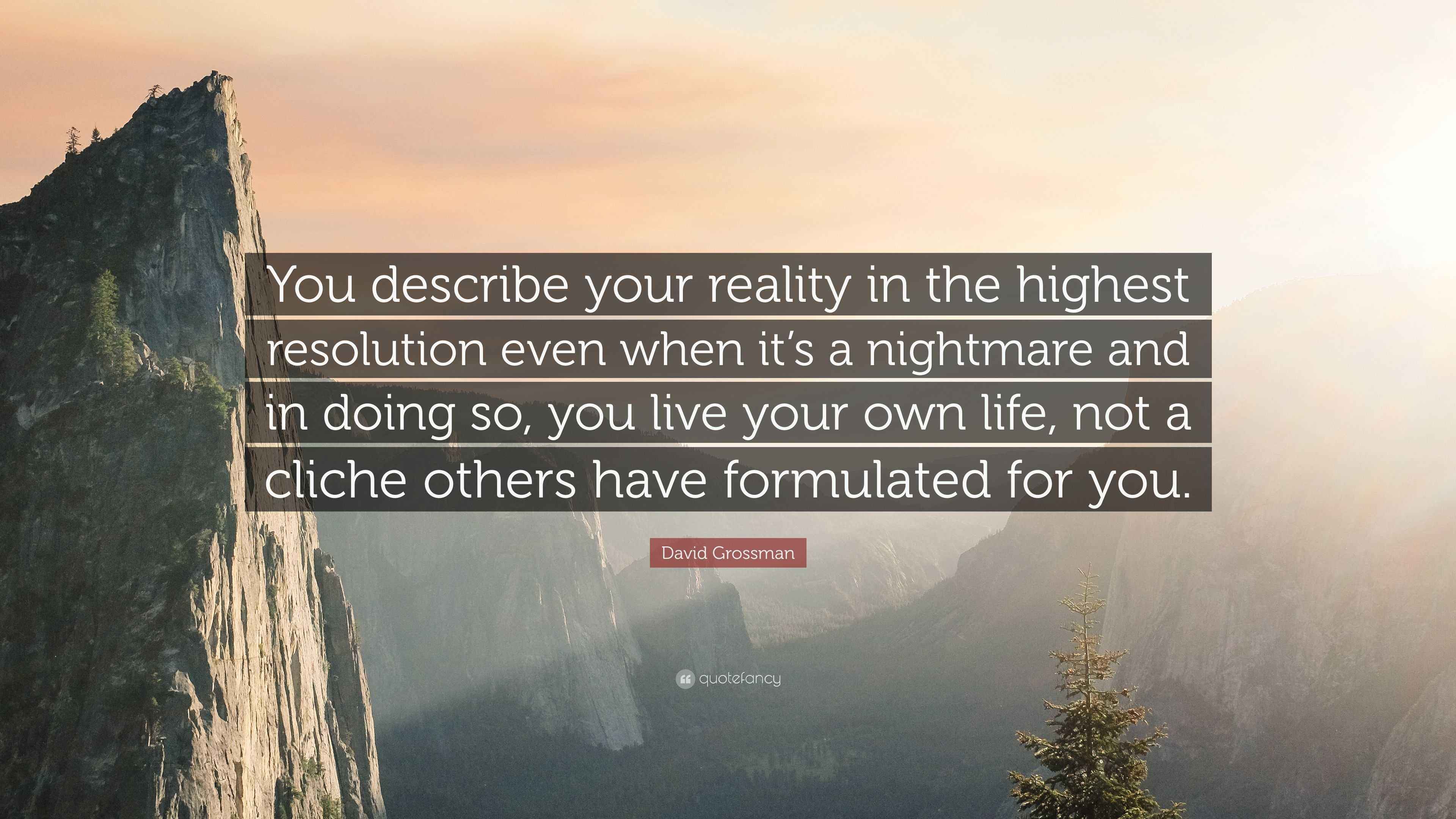 David Grossman Quote: “You describe your reality in the highest ...