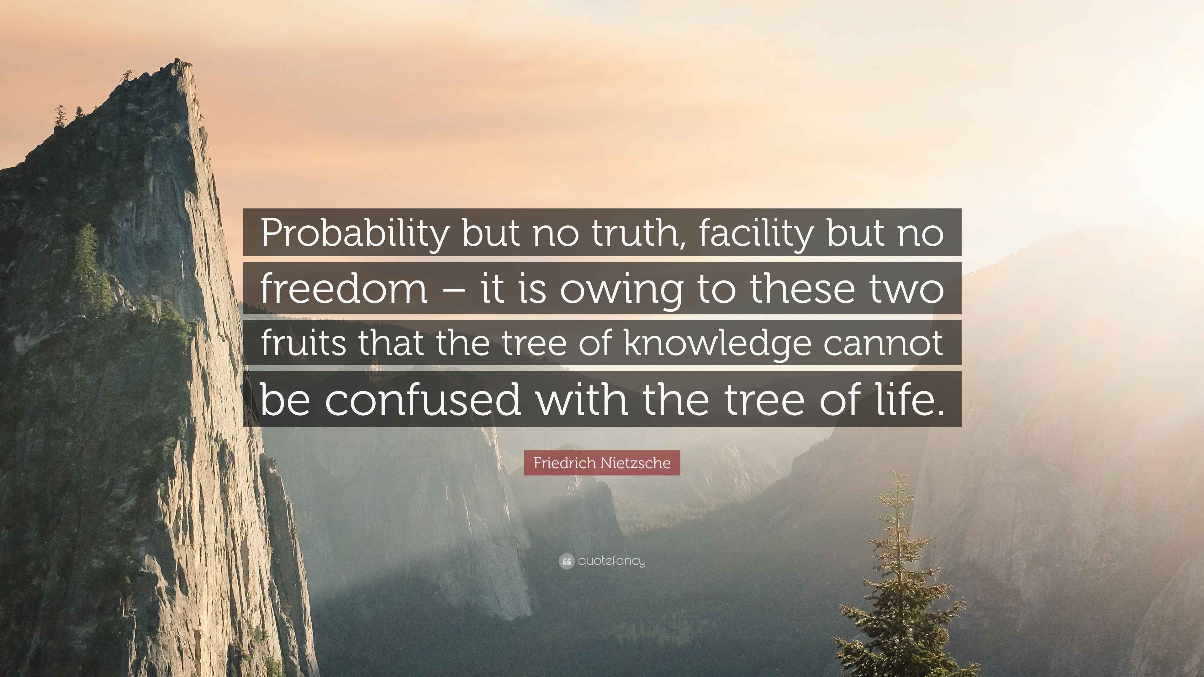Friedrich Nietzsche Quote: “Probability but no truth, facility but no ...