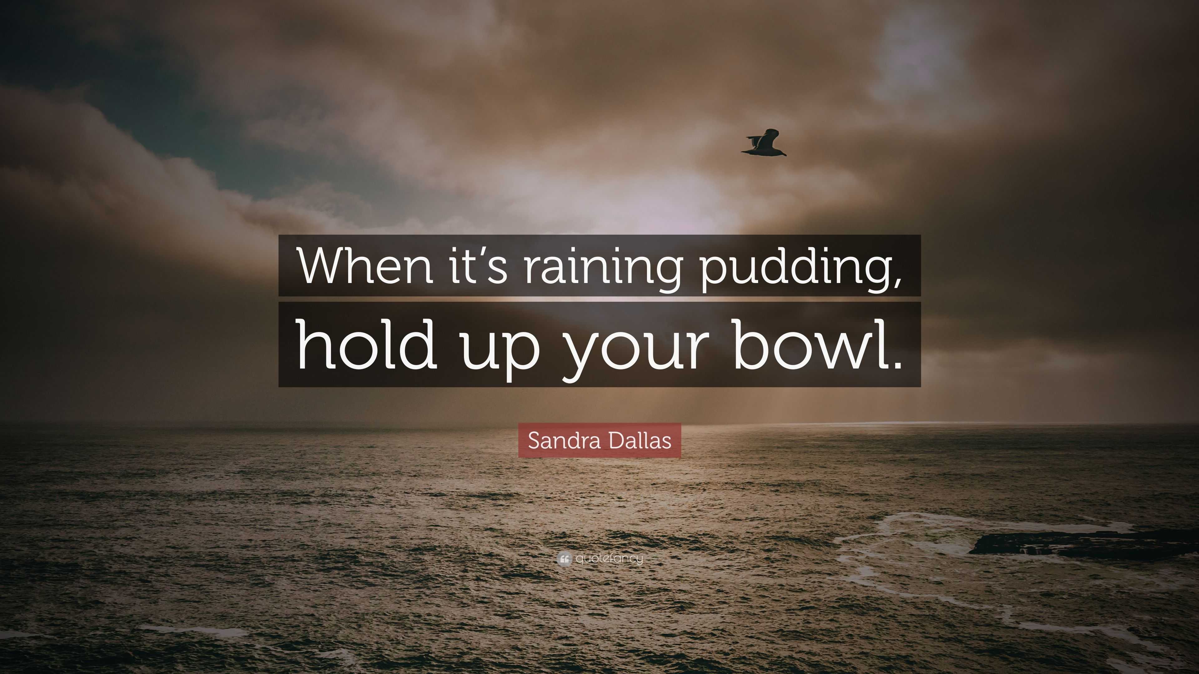Sandra Dallas Quote: “When it’s raining pudding, hold up your bowl.”
