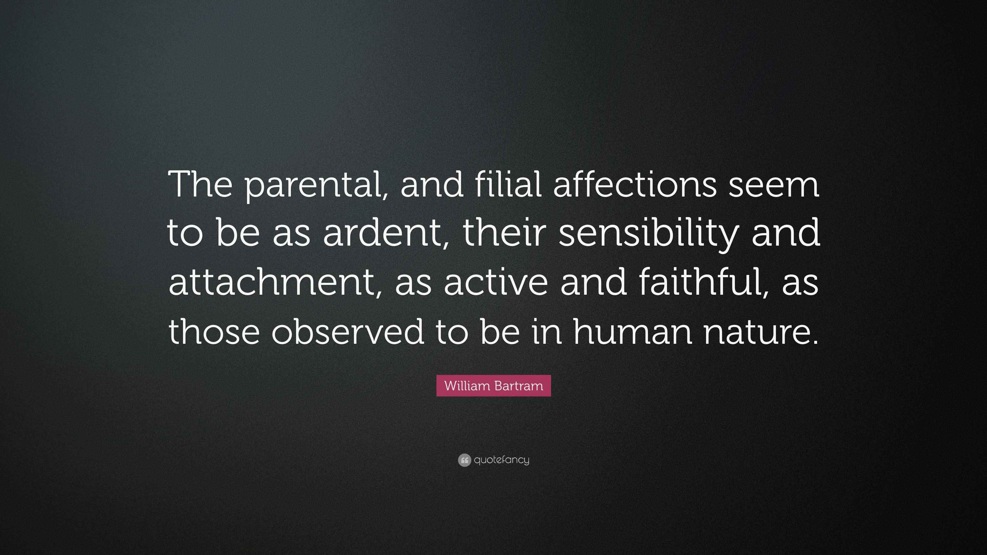 William Bartram Quote: “The parental, and filial affections seem to be ...