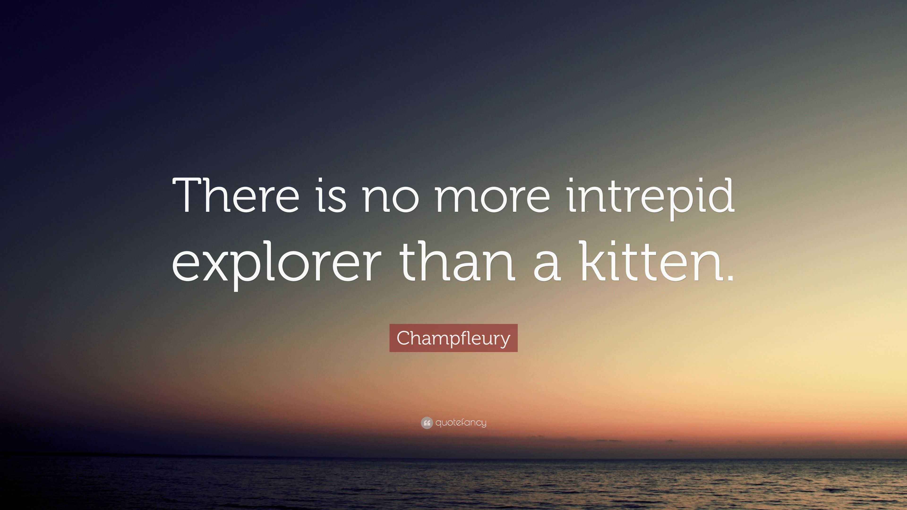 Champfleury Quote: “There is no more intrepid explorer than a kitten.”