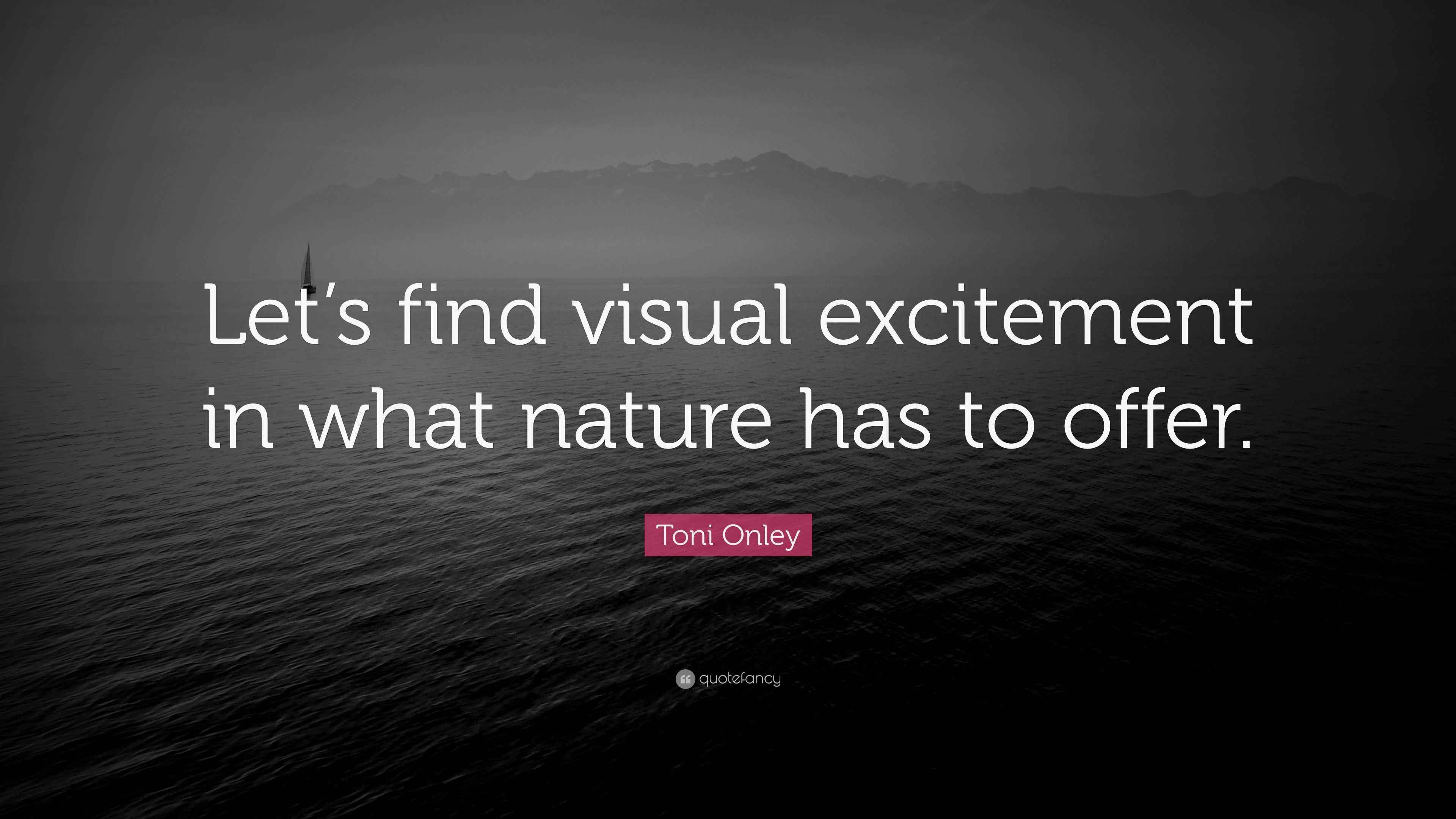 Toni Onley Quote: “Let’s find visual excitement in what nature has to ...