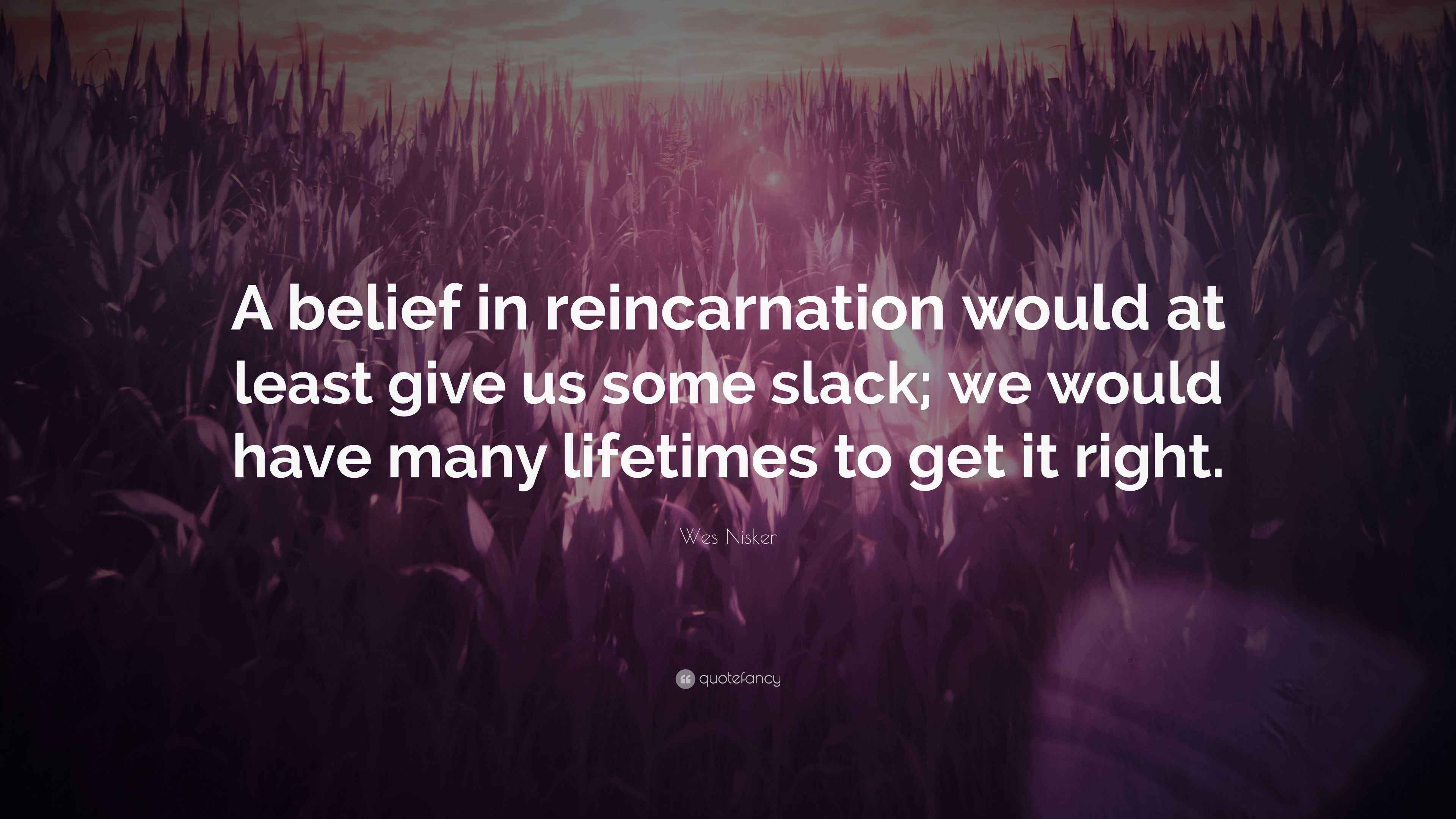 Wes Nisker Quote: “A belief in reincarnation would at least give us ...