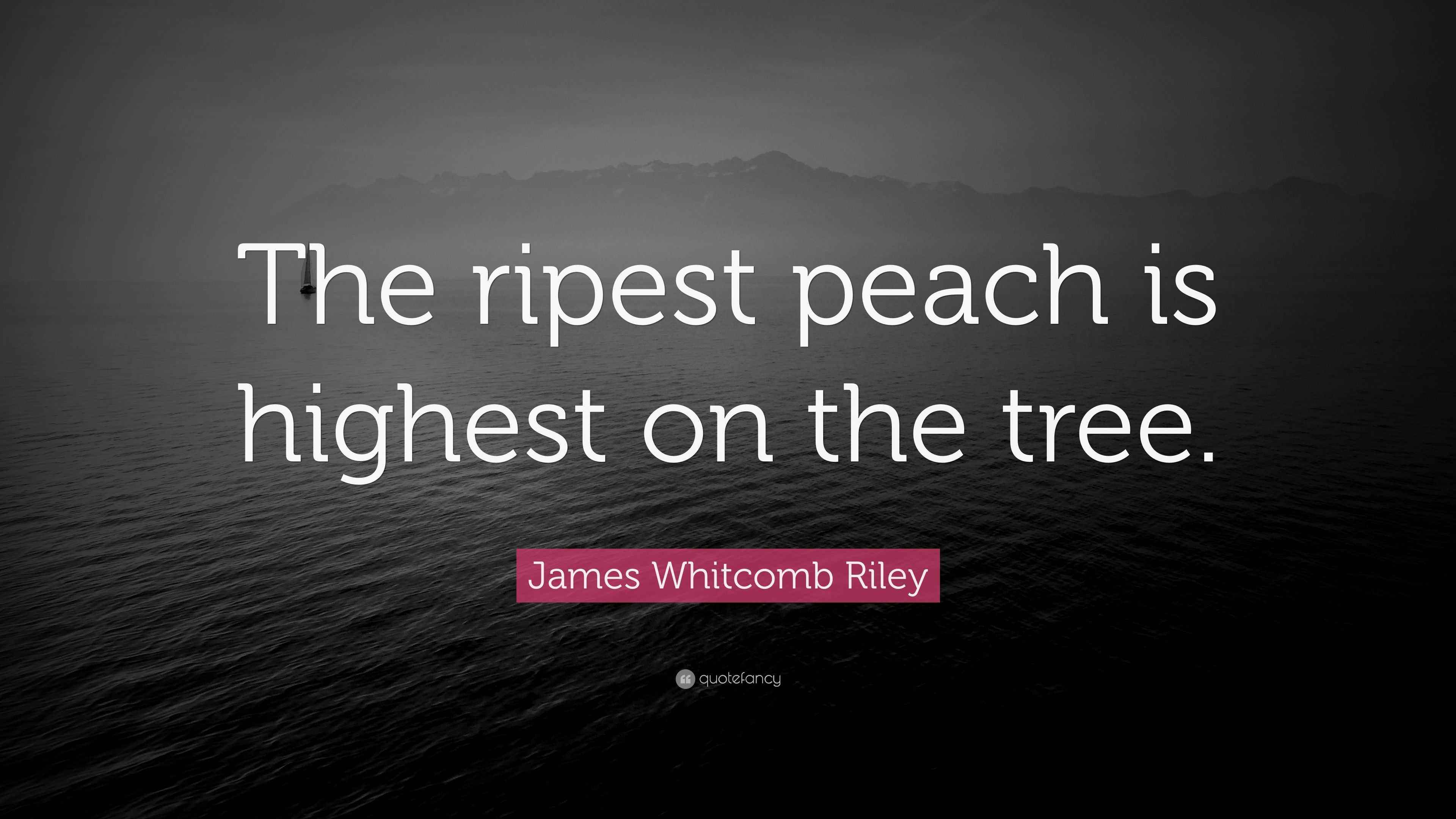 James Whitcomb Riley Quote: “The ripest peach is highest on the tree.”