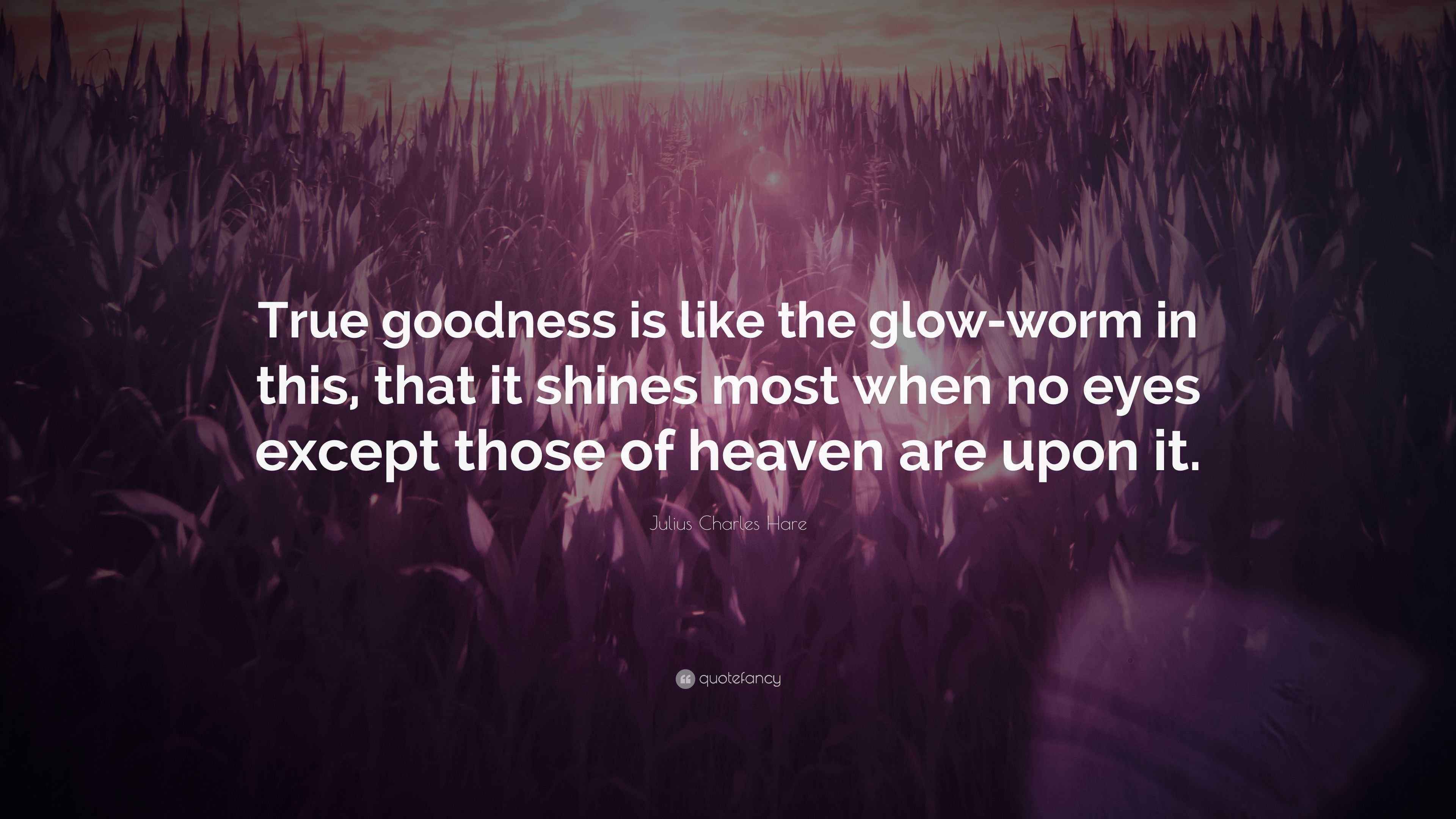 Julius Charles Hare Quote: “True goodness is like the glow-worm in this ...