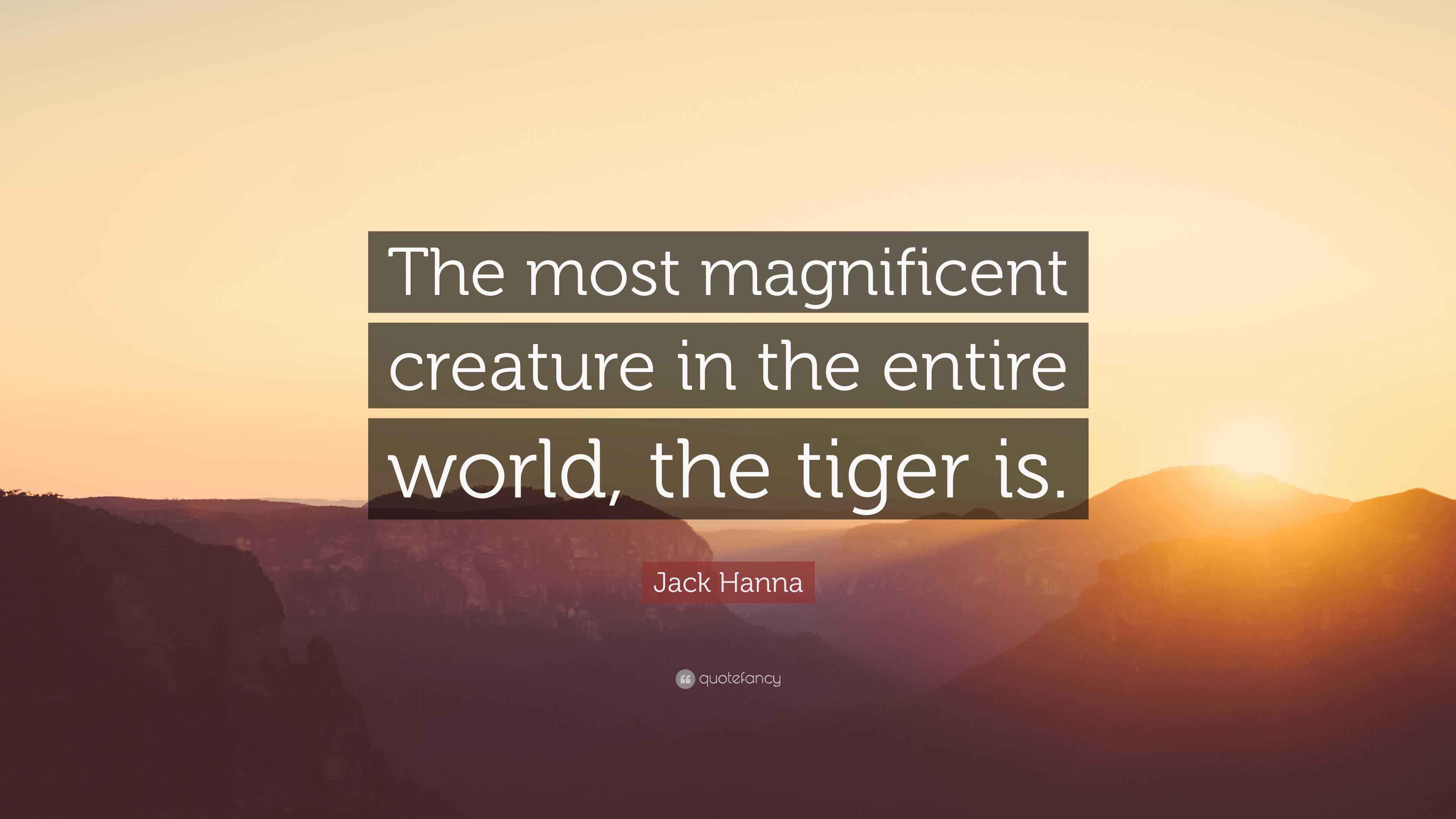 Jack Hanna Quote: “The most magnificent creature in the entire world ...
