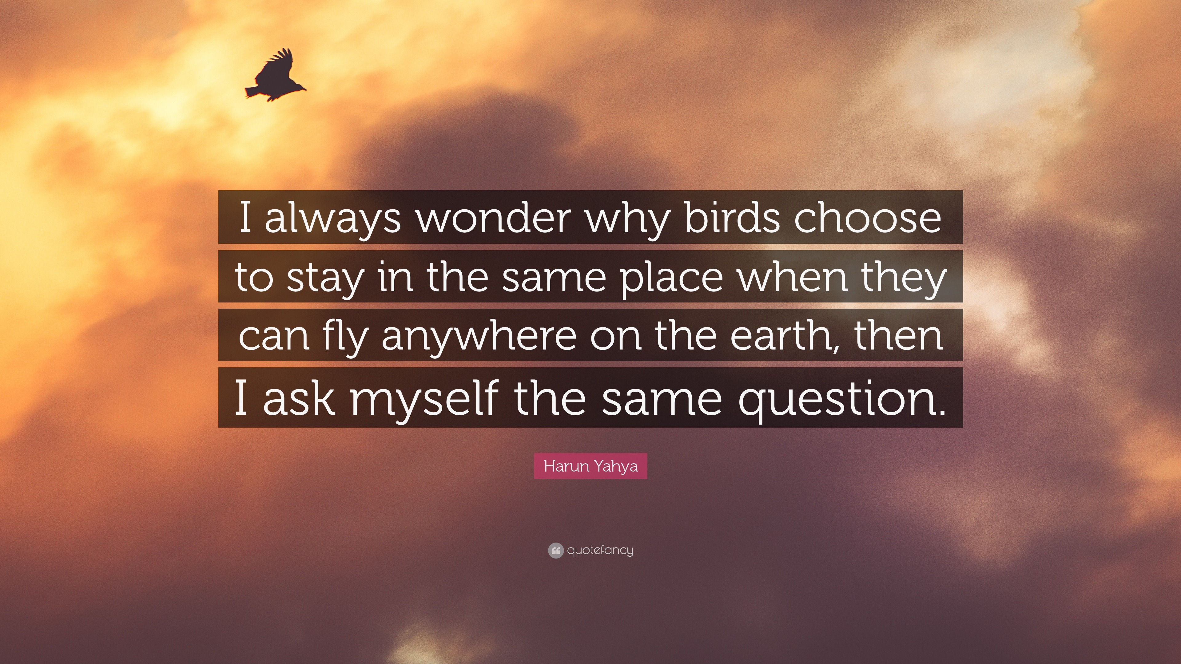 Harun Yahya Quote: “I always wonder why birds choose to stay in the ...