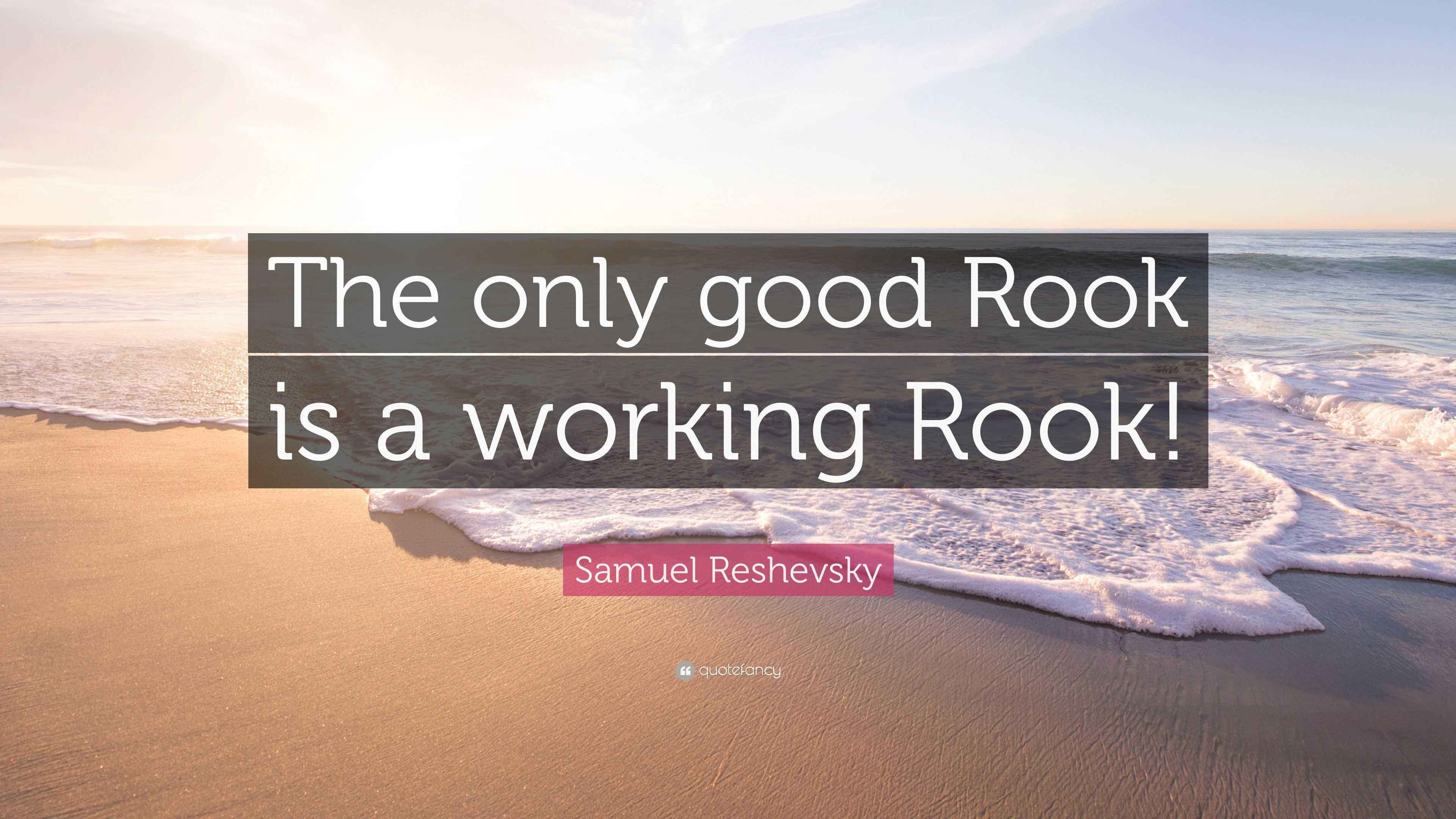 Samuel Reshevsky Quote: “The only good Rook is a working Rook!”