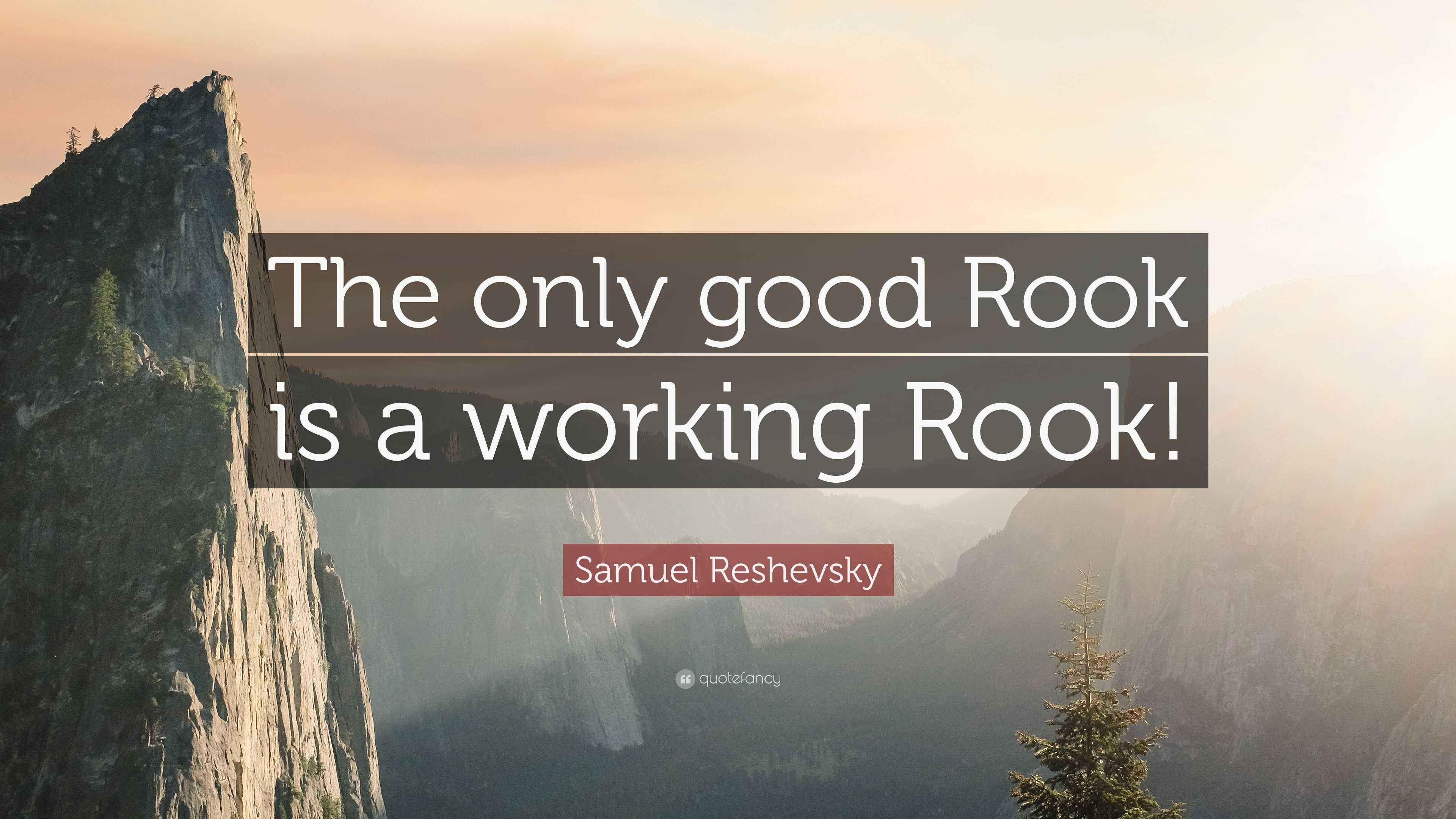 Samuel Reshevsky Quote: “The only good Rook is a working Rook!”