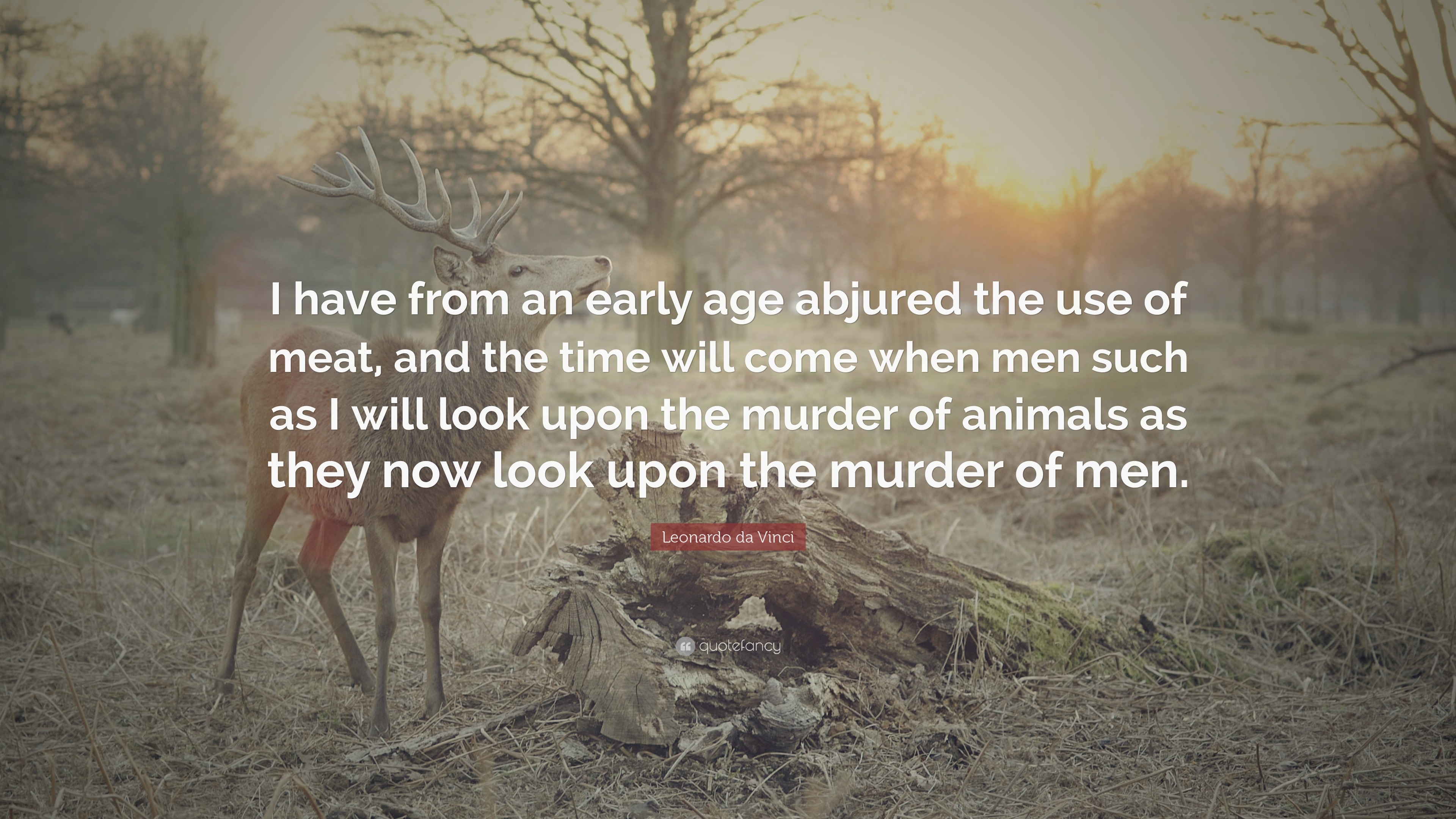 Leonardo da Vinci Quote: “I have from an early age abjured the use of ...