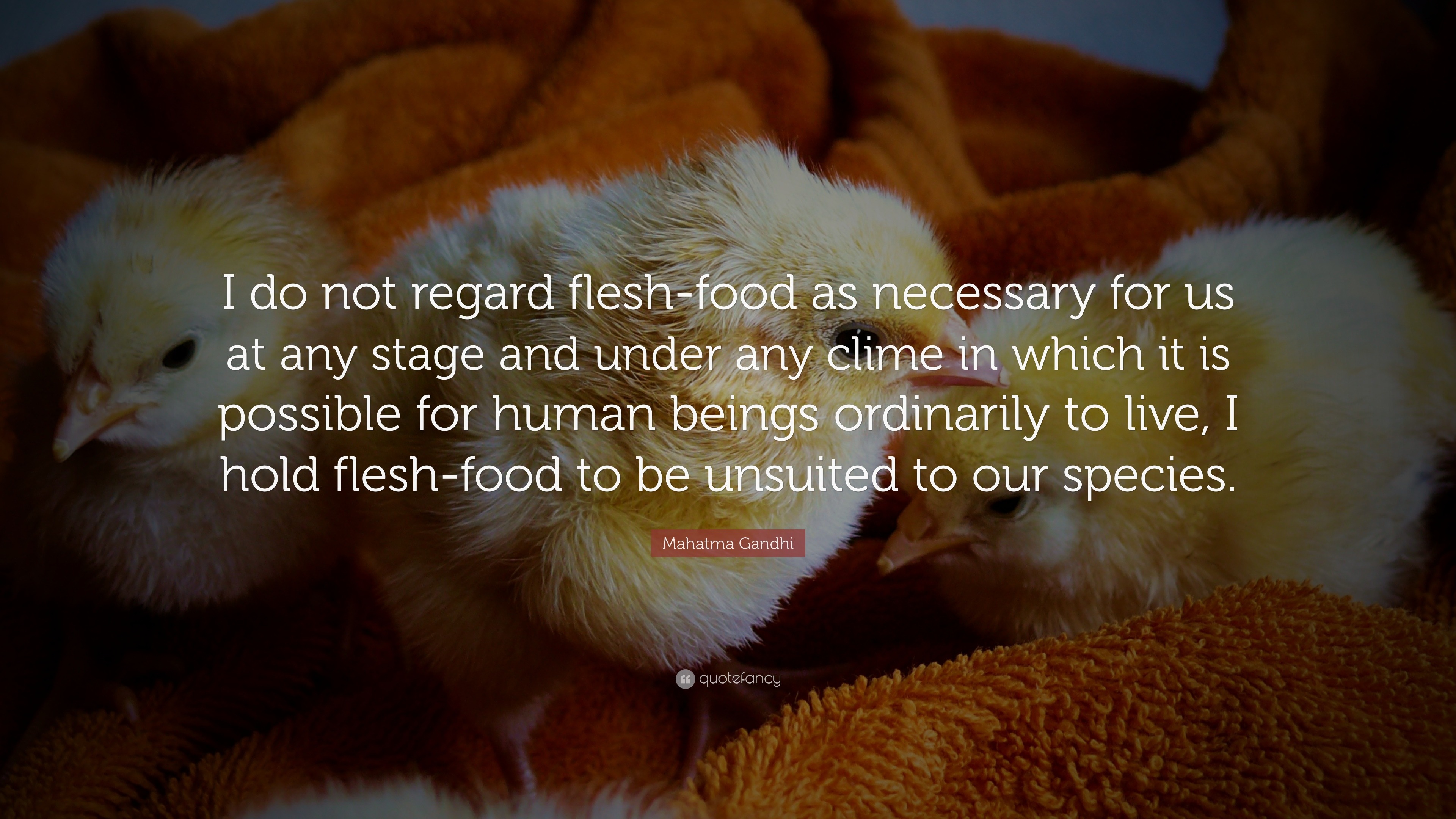 Mahatma Gandhi Quote: “I do not regard flesh-food as necessary for us ...