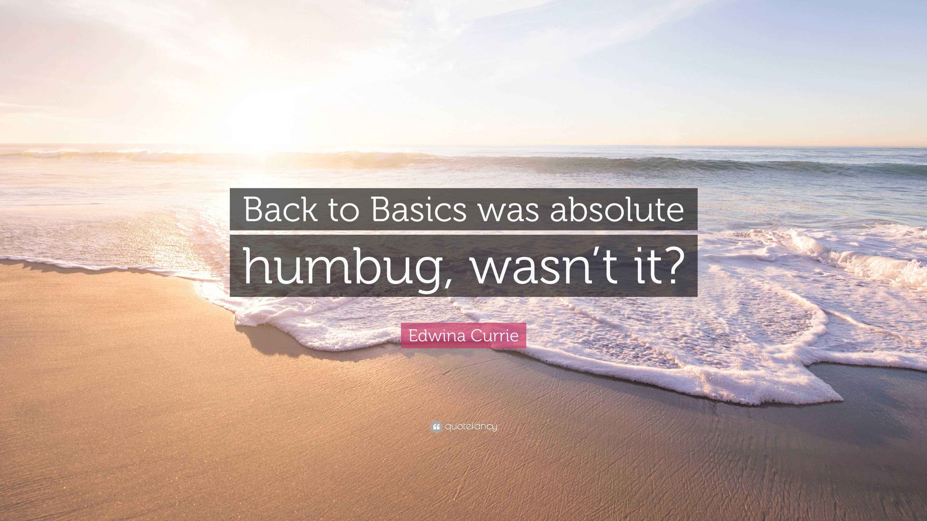 Edwina Currie Quote: “Back to Basics was absolute humbug, wasn’t it?”
