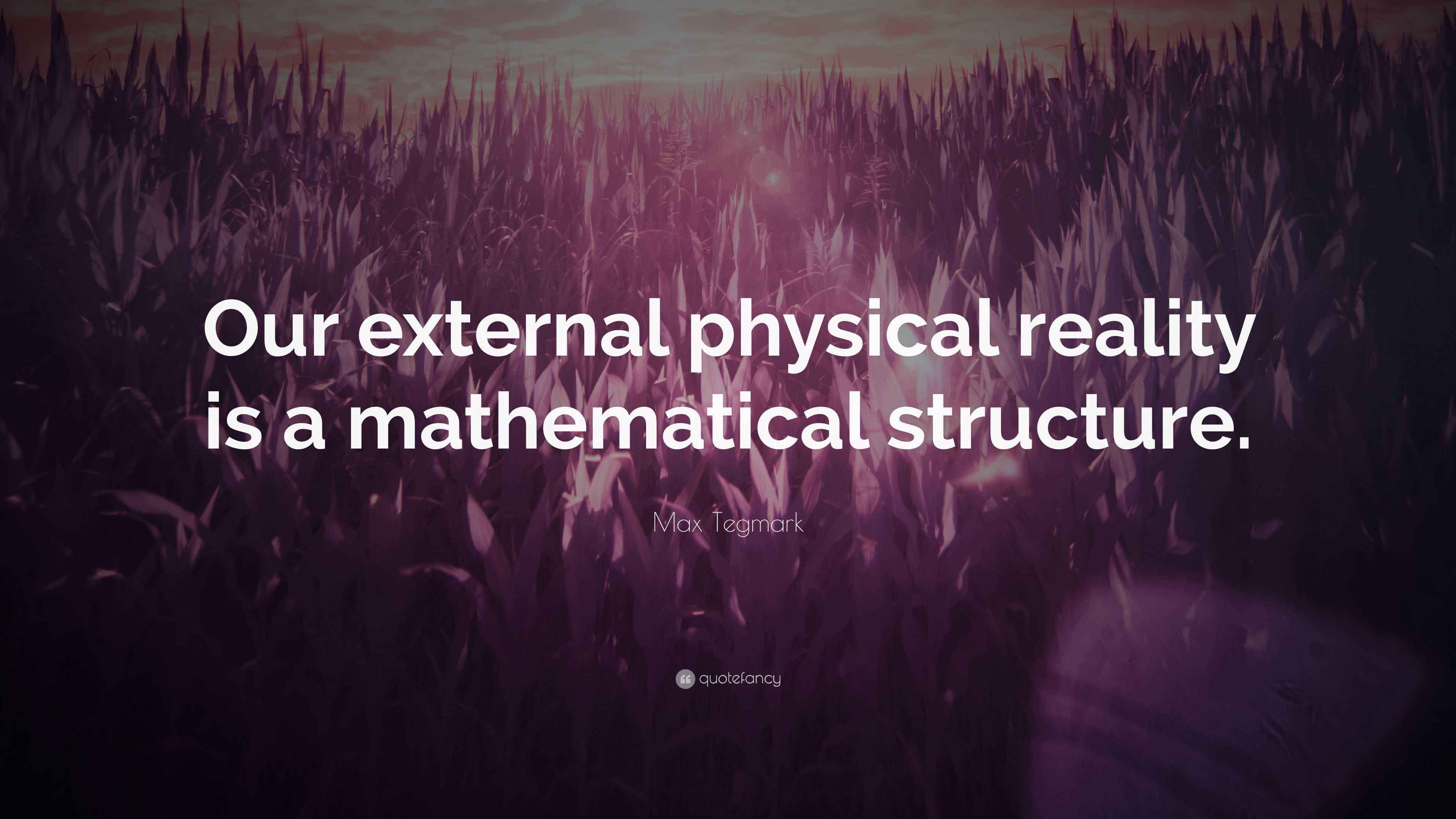 Max Tegmark Quote: “Our external physical reality is a mathematical ...