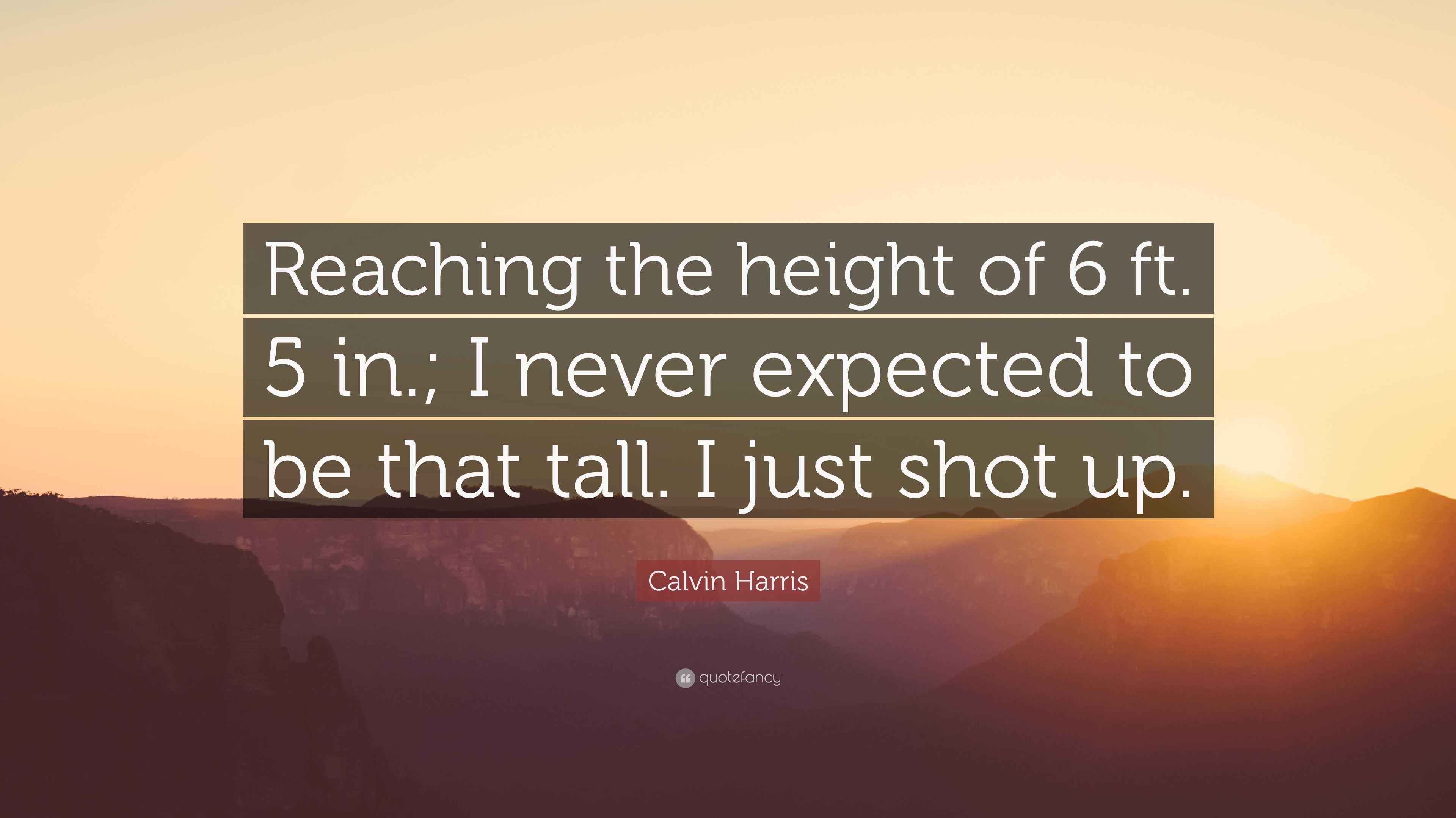 Calvin Harris Quote: “Reaching the height of 6 ft. 5 in.; I never ...