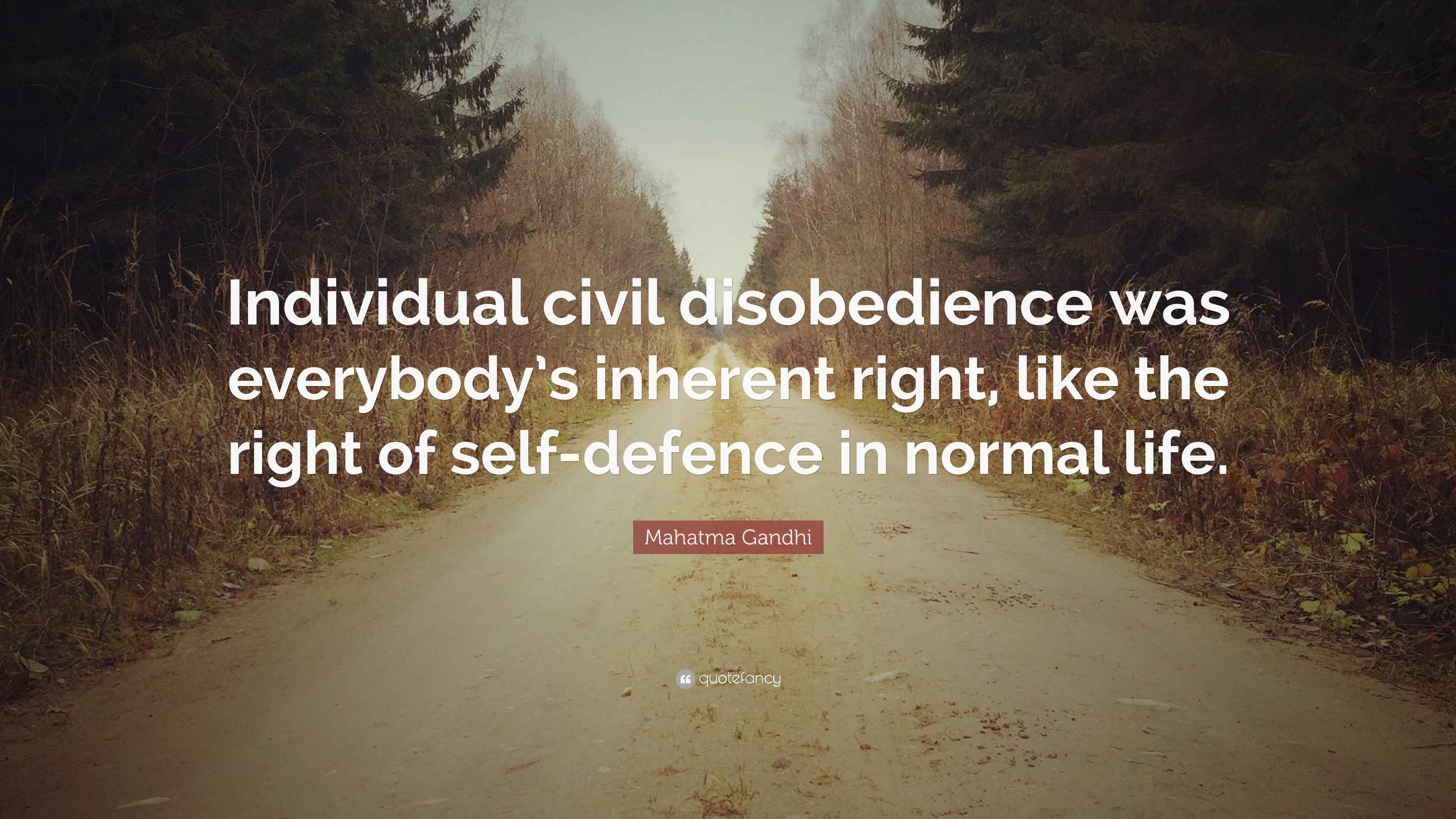 Mahatma Gandhi Quote: “Individual civil disobedience was everybody’s ...