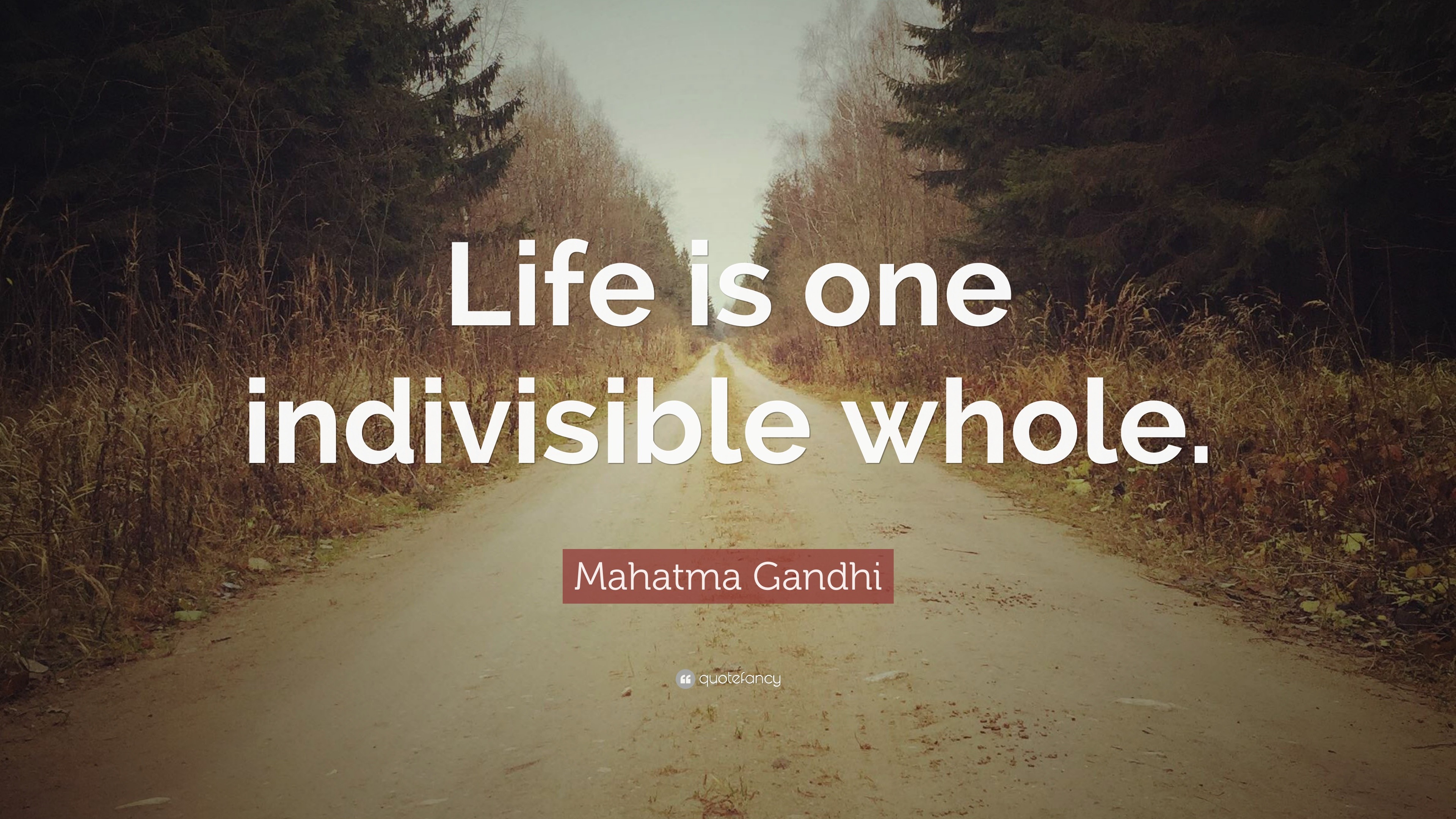 Mahatma Gandhi Quote: “Life is one indivisible whole.”