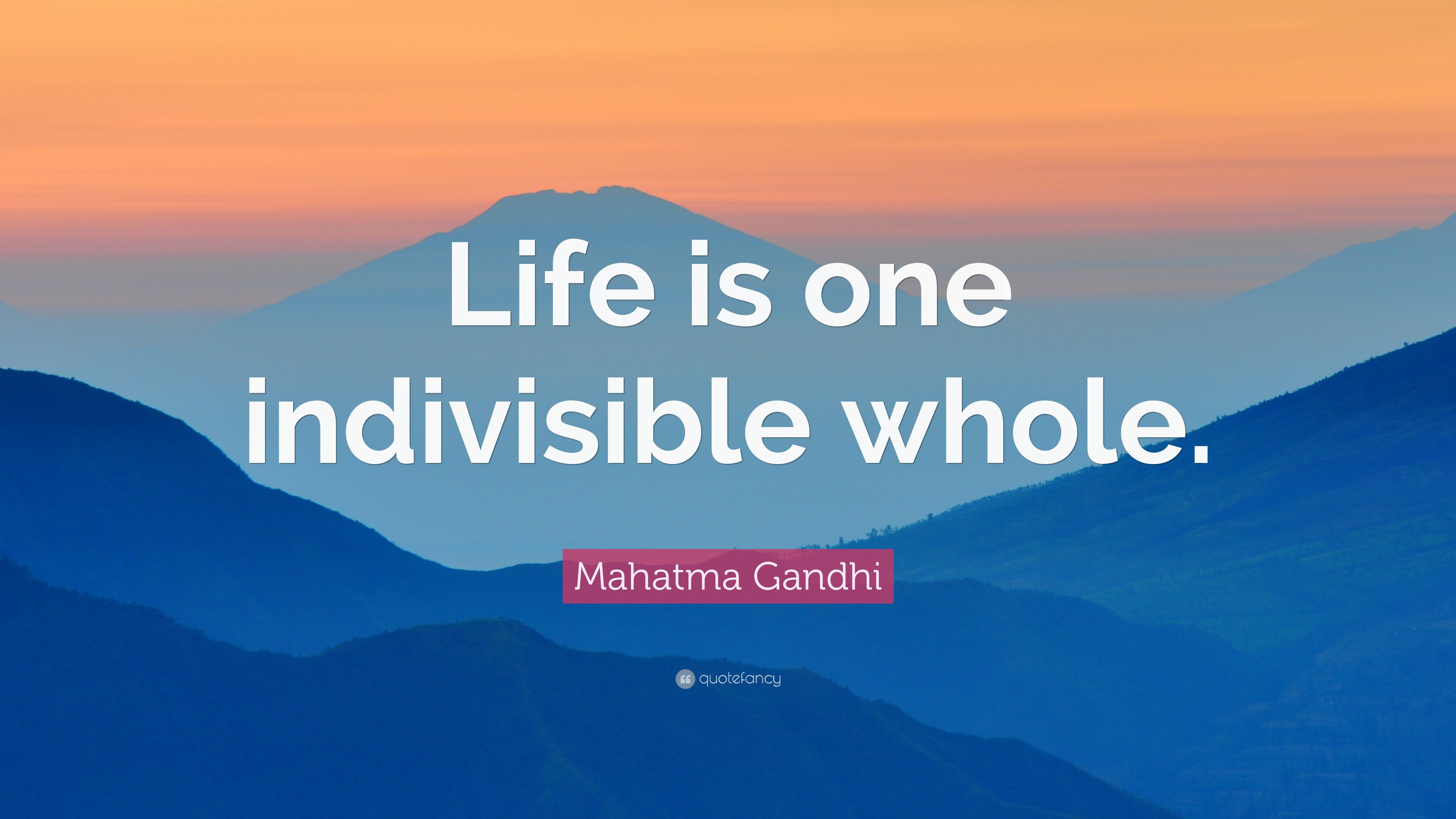 Mahatma Gandhi Quote: “Life is one indivisible whole.”