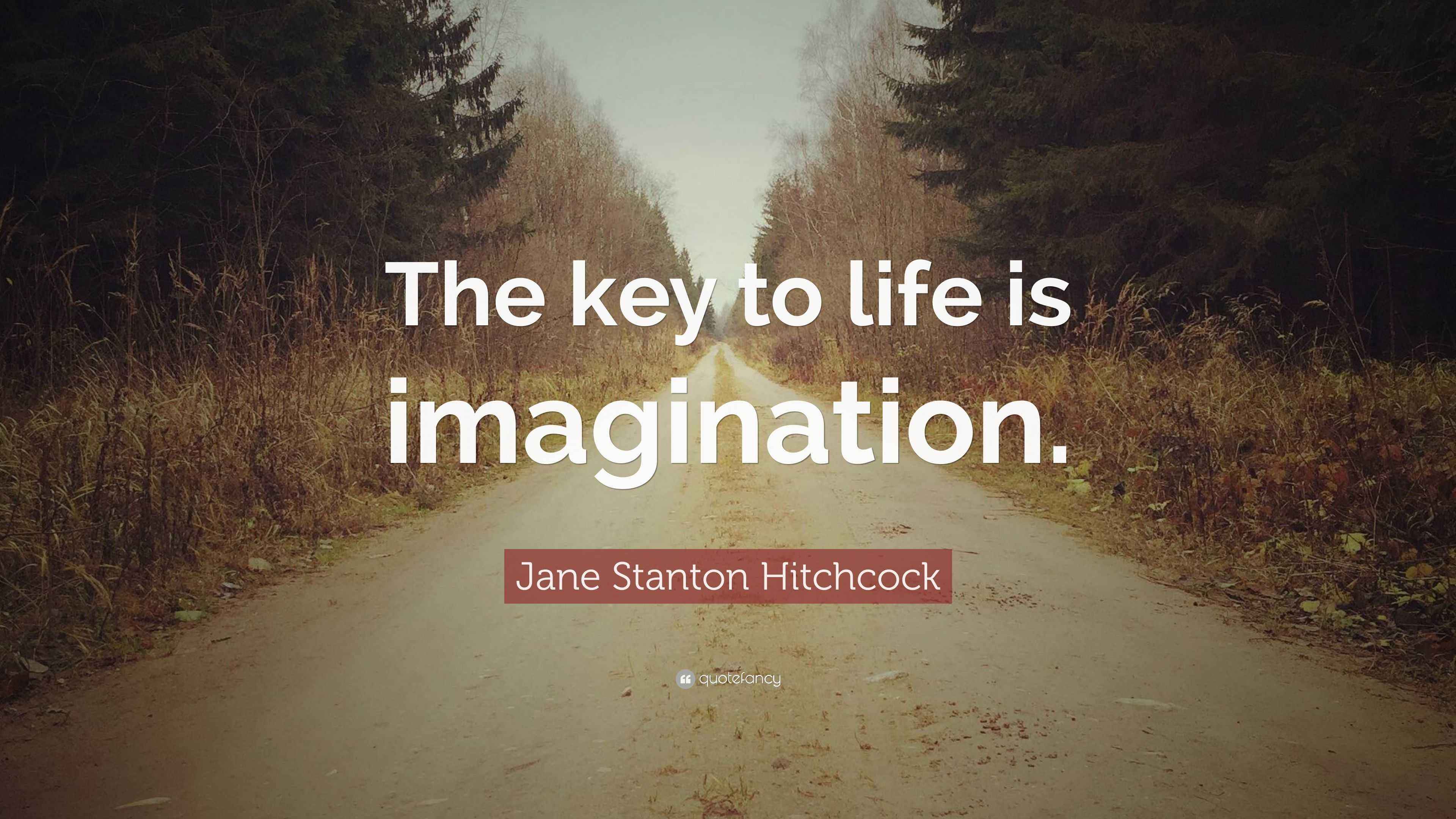 Jane Stanton Hitchcock Quote: “The key to life is imagination.”