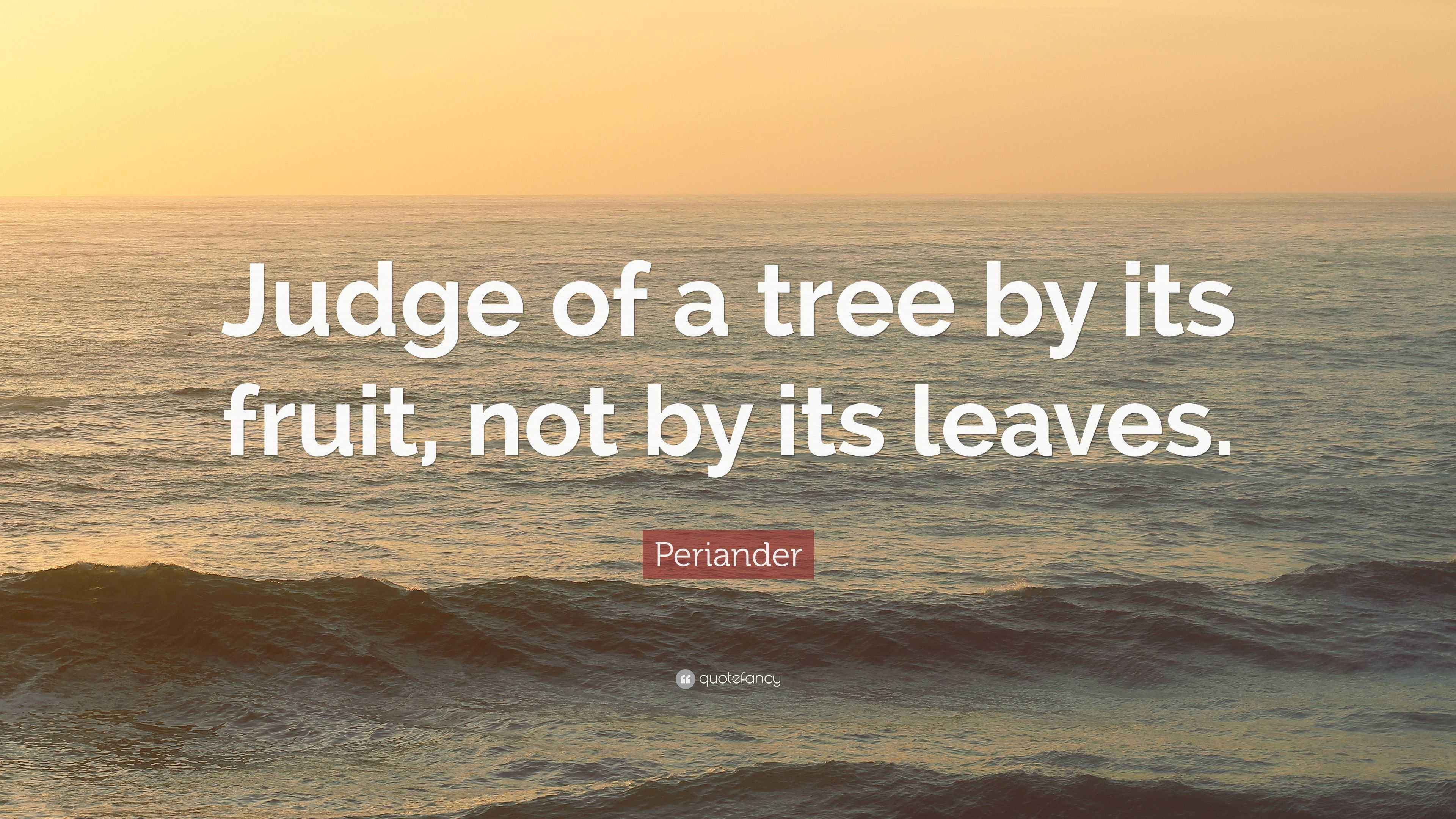 Periander Quote: “Judge of a tree by its fruit, not by its leaves.”