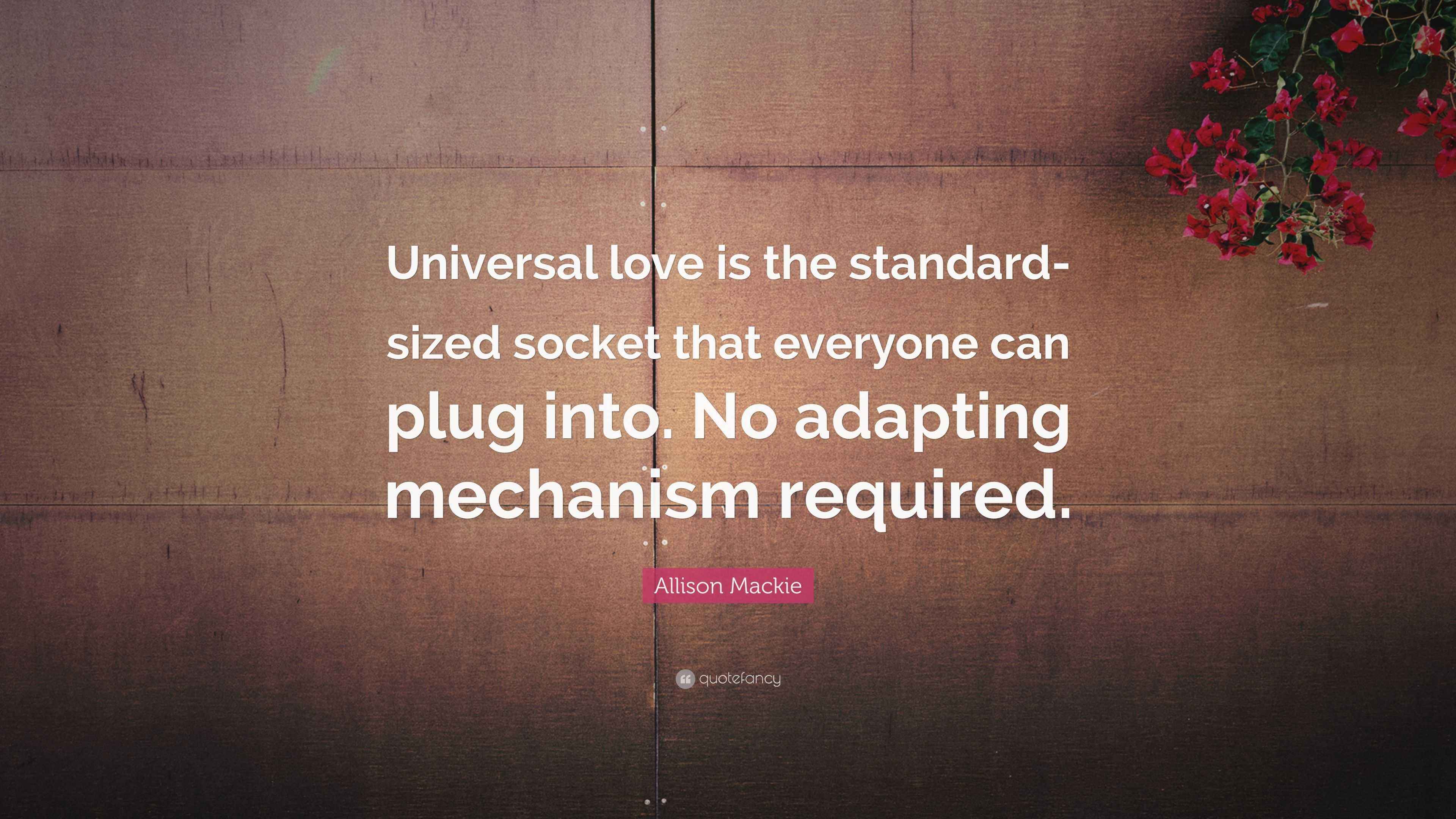 Allison Mackie Quote: “Universal love is the standard-sized socket that ...
