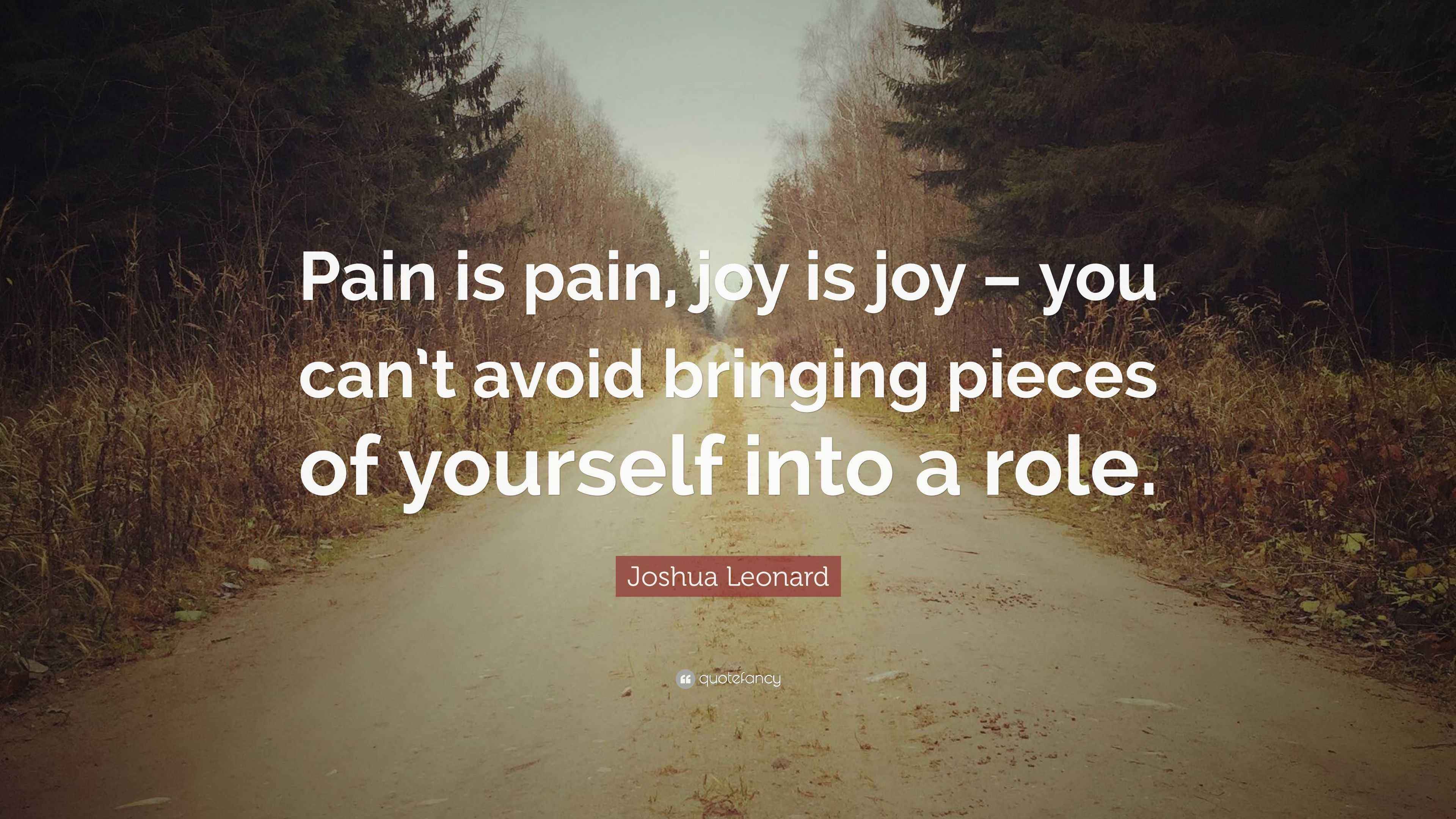 Joshua Leonard Quote: “Pain is pain, joy is joy – you can’t avoid ...